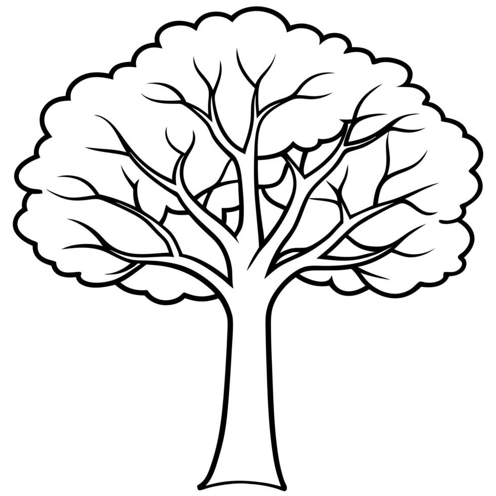 Teak Tree Illustration Line Art 51006762 Vector Art At Vecteezy