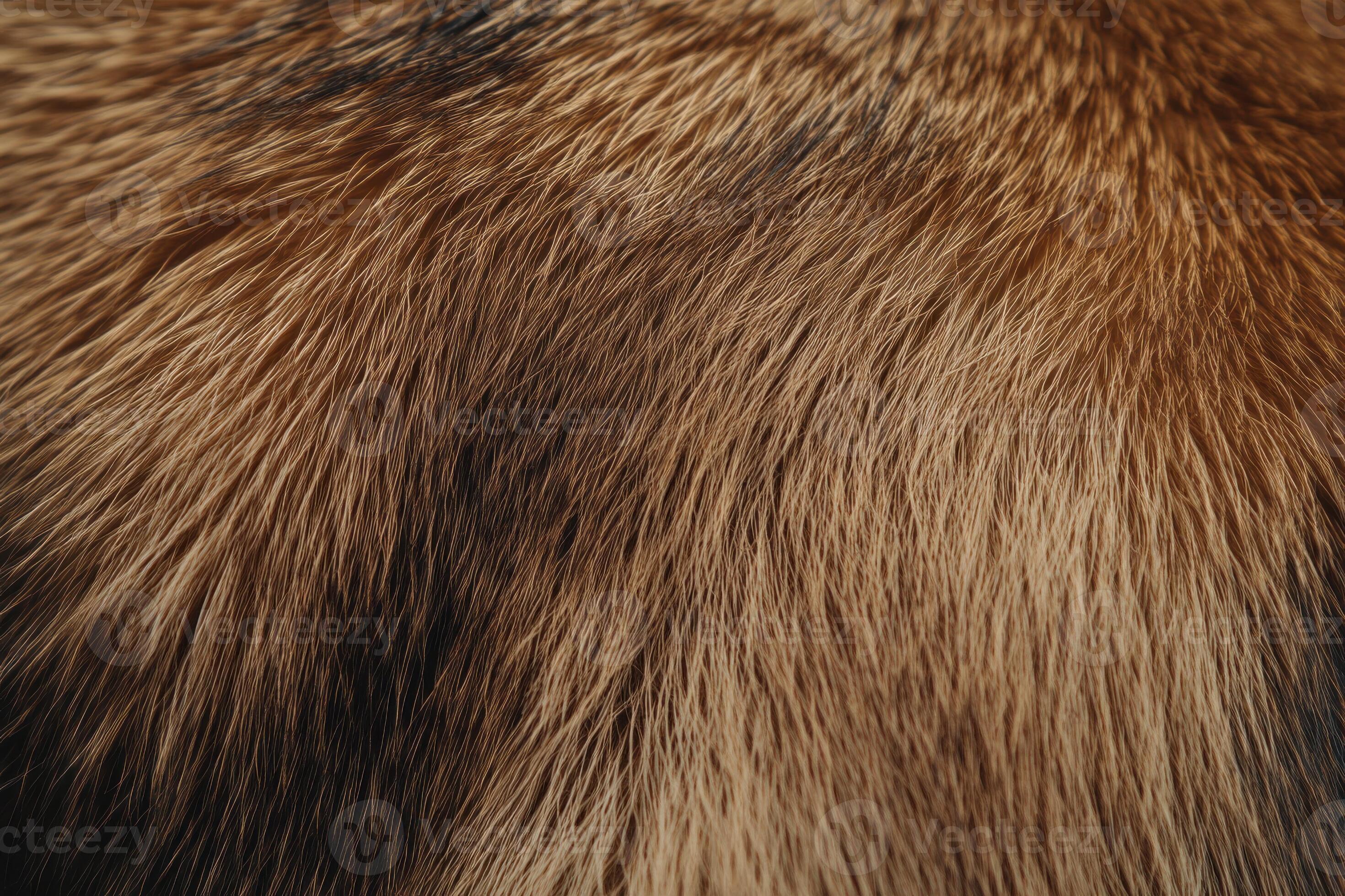 Close-up of golden-brown fur texture showing soft, natural tones in ...