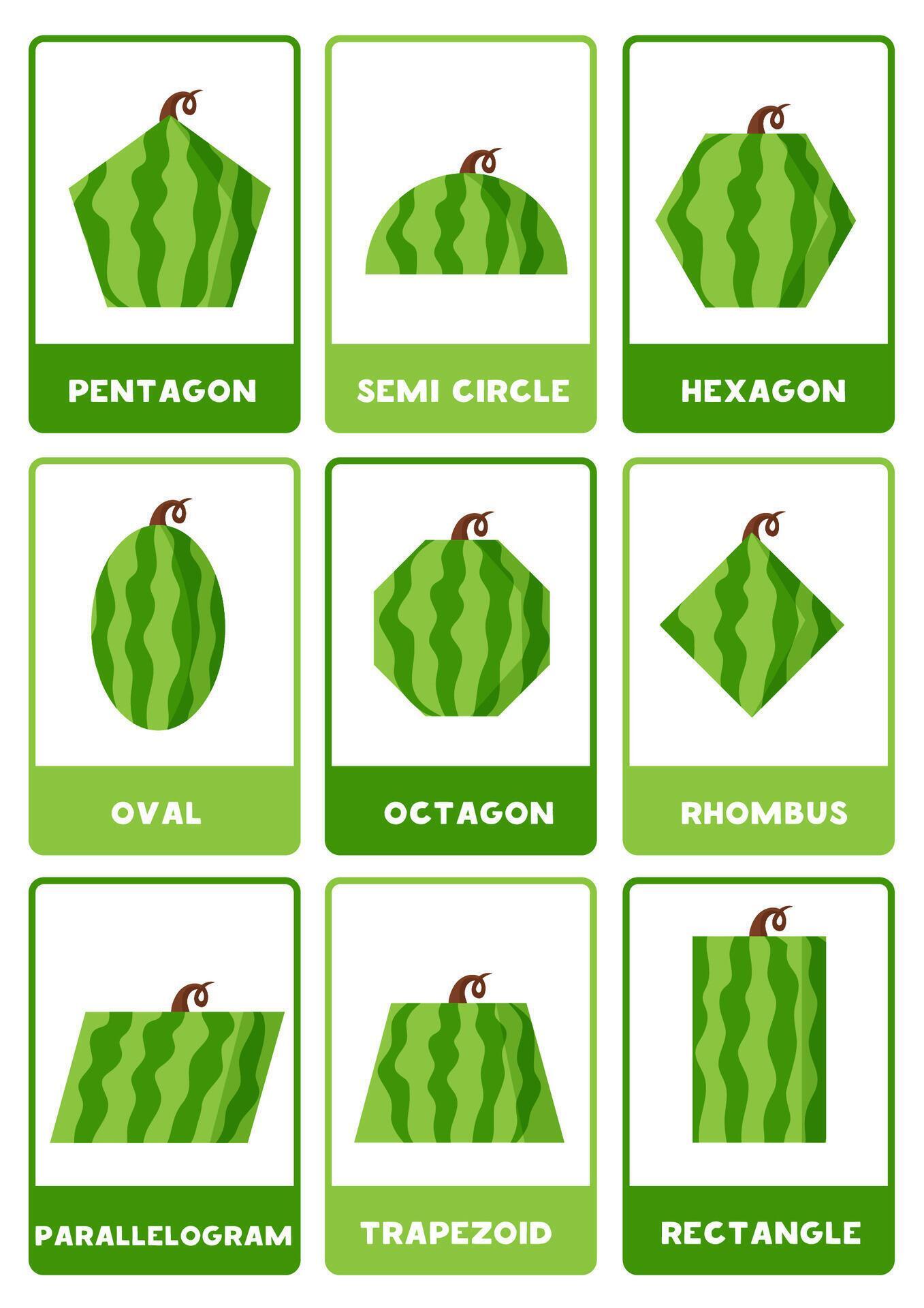 Cartoon watermelons in geometrical shapes. 2d shapes with names ...