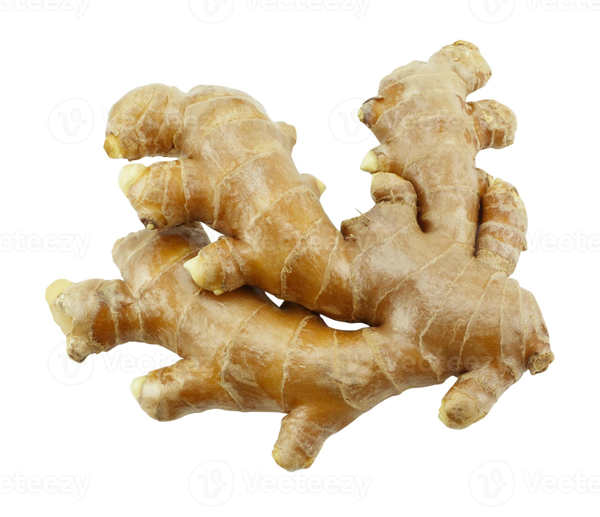 fresh ginger isolated on white background. 51084256 Stock Photo at Vecteezy