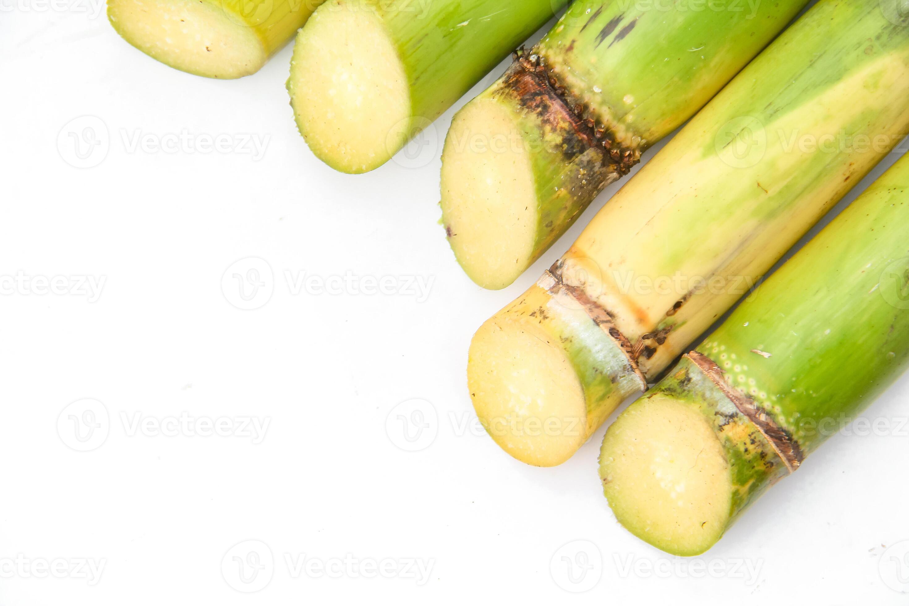 Stems from sugar cane plants or Saccharum officinarum Lin, stems from green sugar cane plants ...