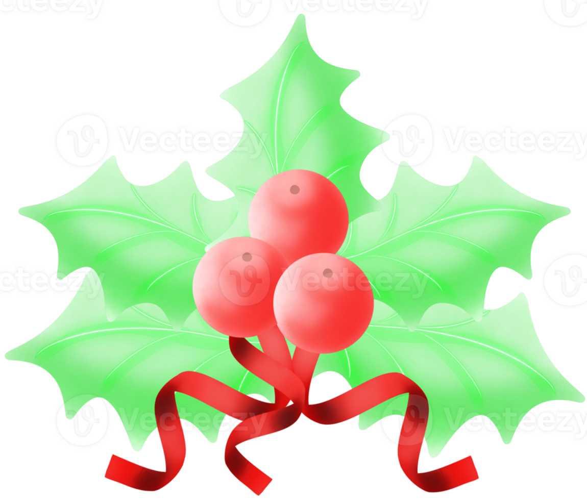 Mistletoe christmas clipart 51096322 PNG