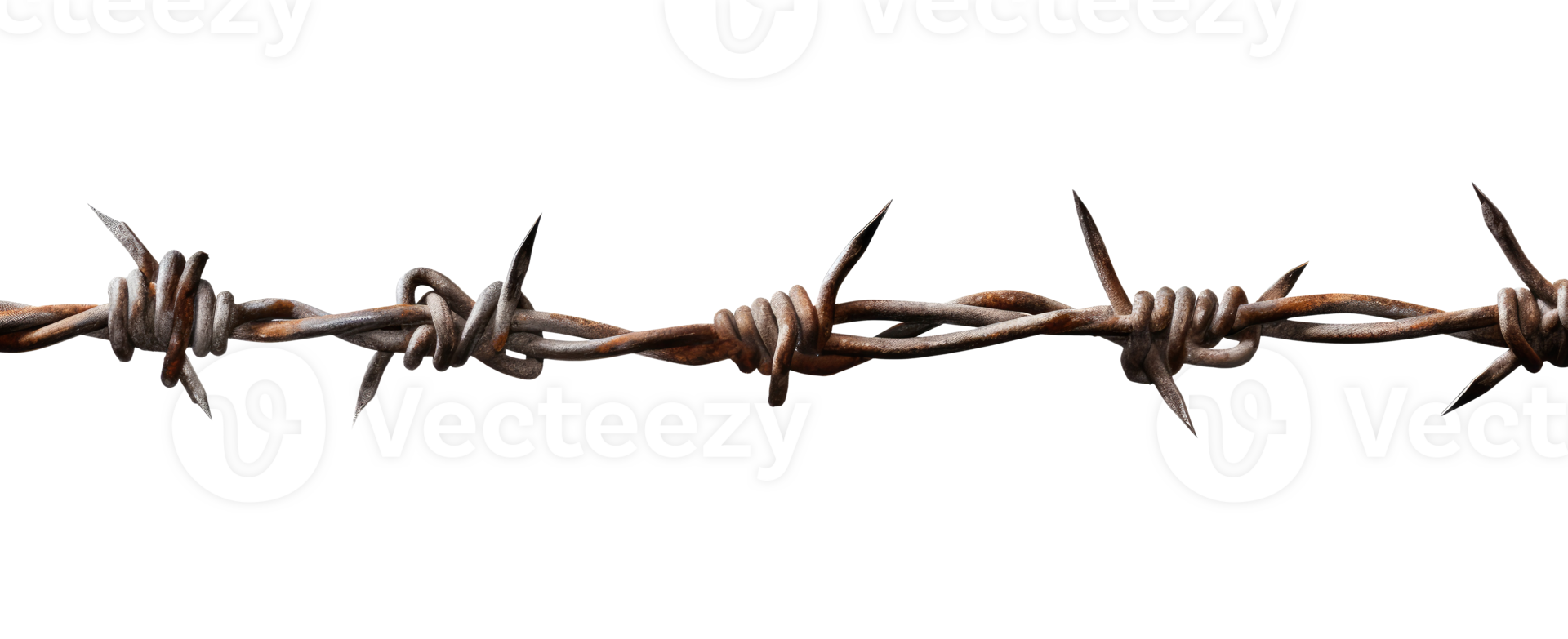 Barbed wire isolated on transparent background 51101402 PNG