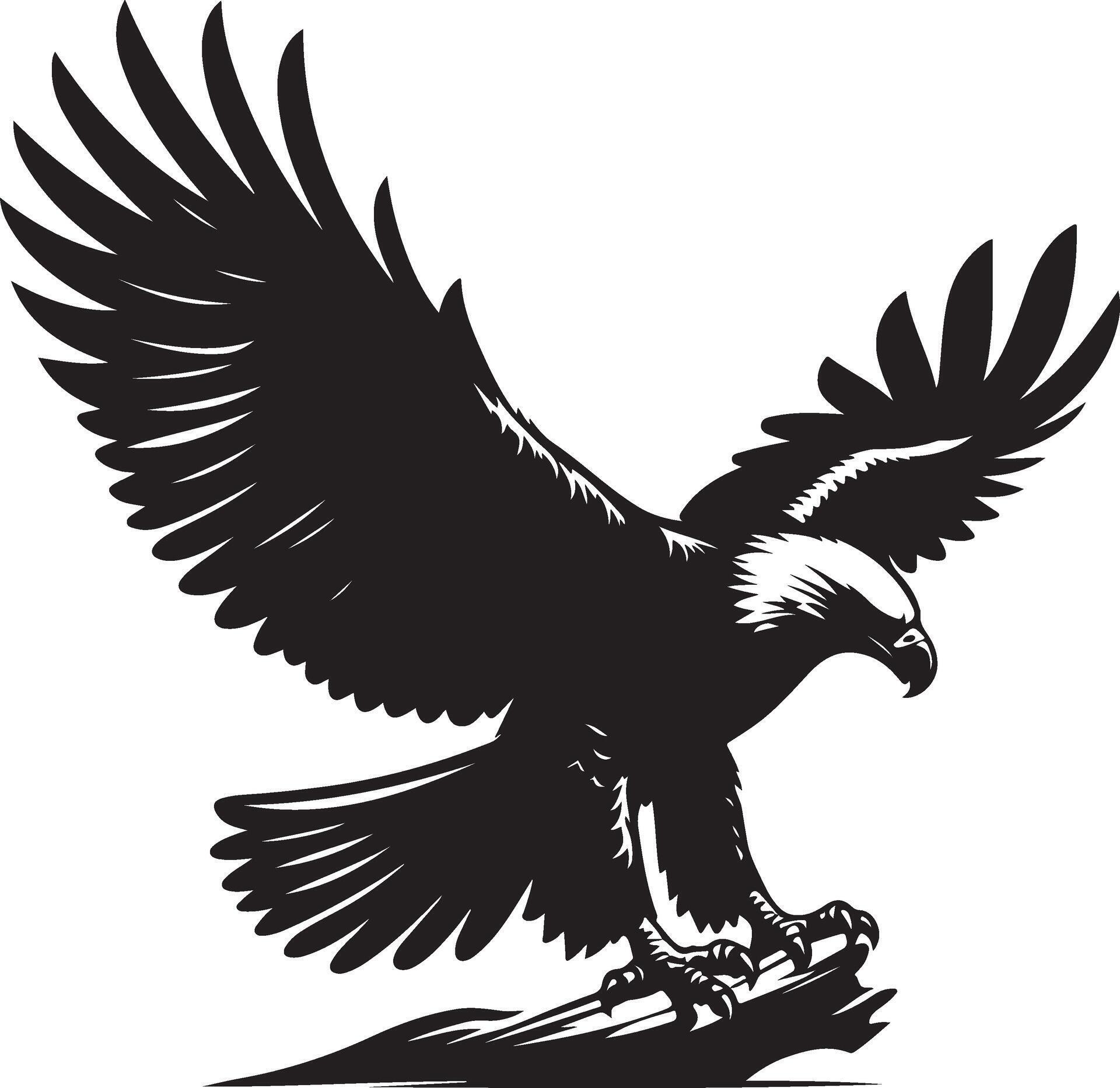 Eagle silhouette silhouette of bald eagle 51168648 Vector Art at Vecteezy