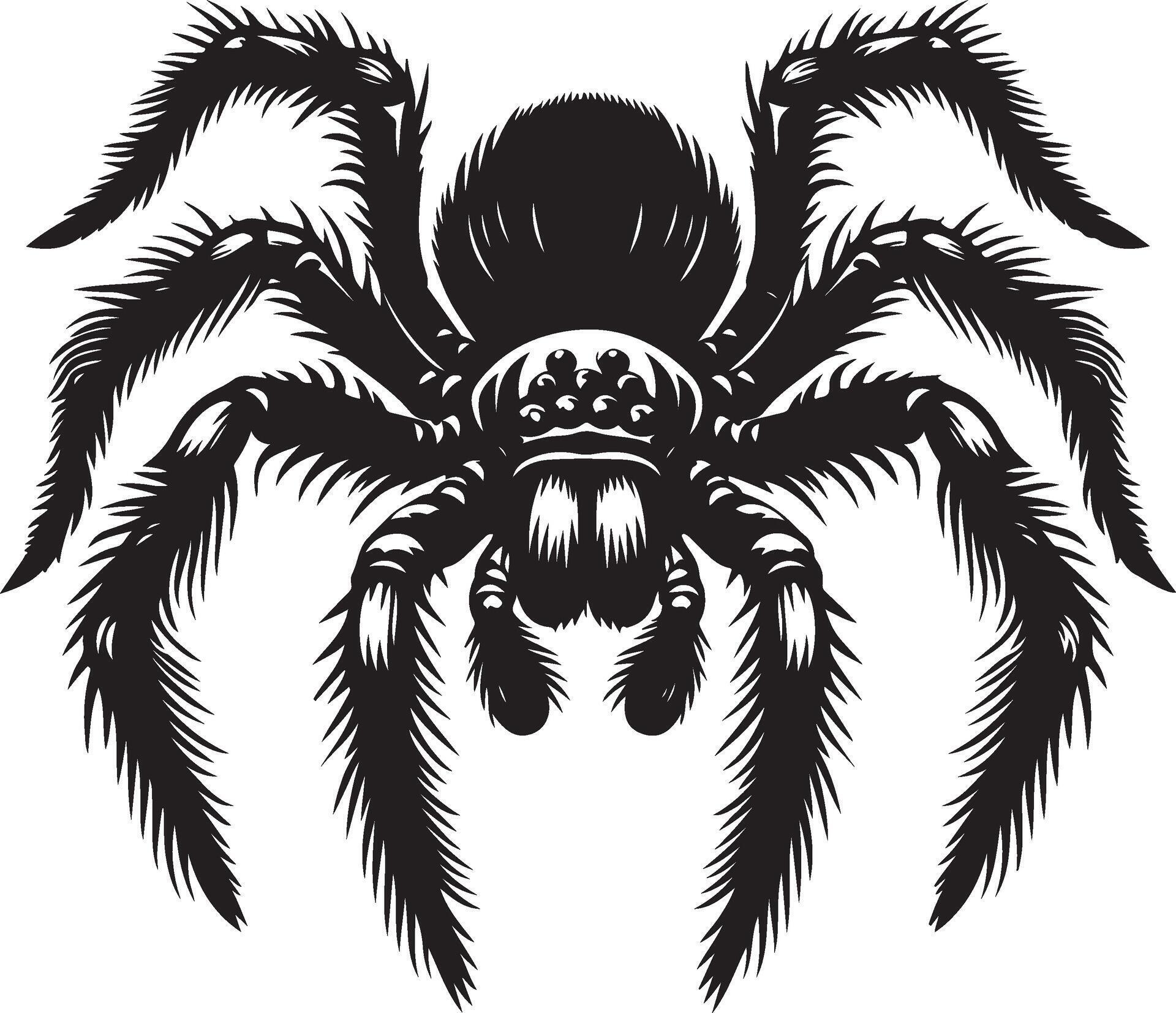 Spider tattoo design 51168804 Vector Art at Vecteezy
