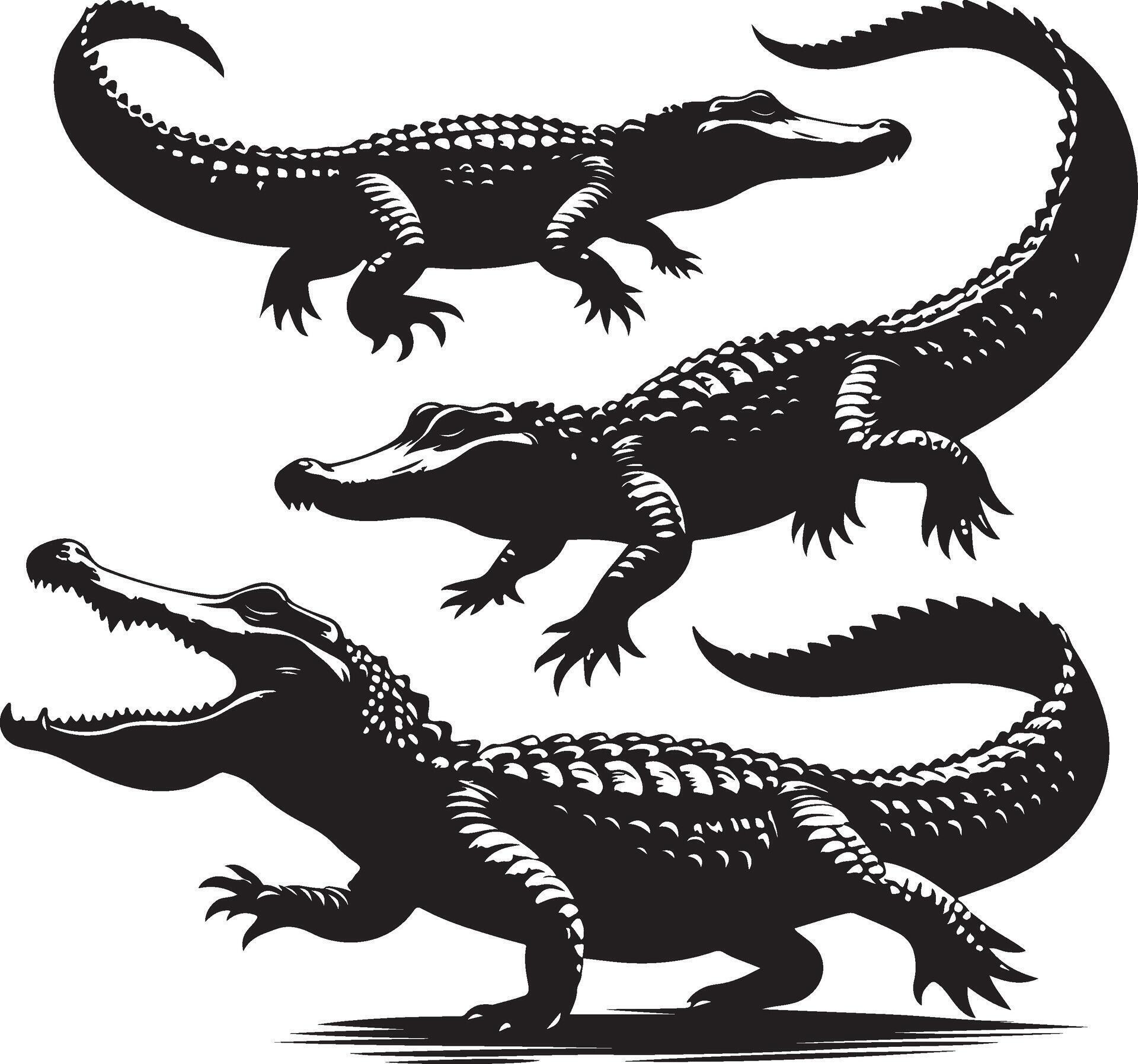 Crocodile silhouette set, black and white illustration 51168890 Vector Art at Vecteezy