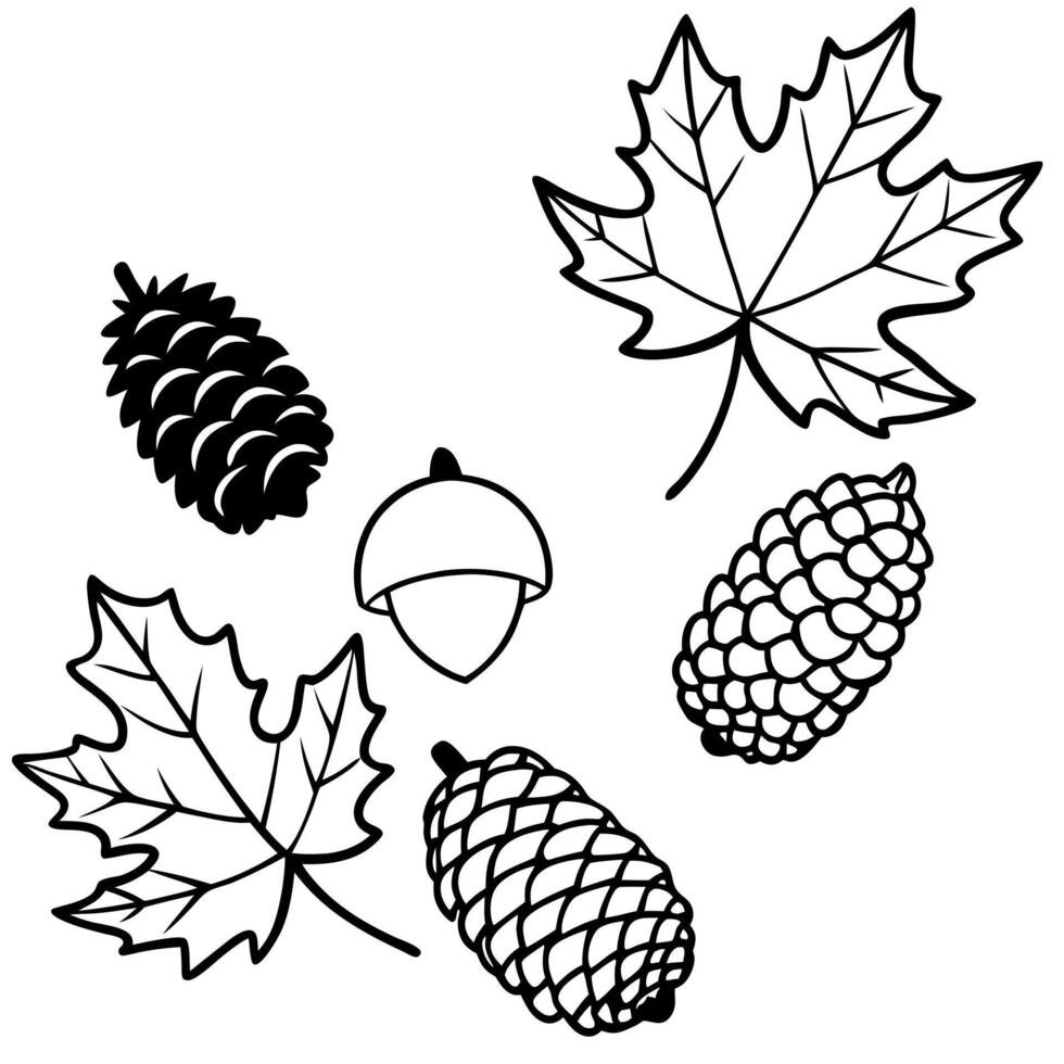 acorns and pine cones scattered on the forest floor a detailed close-up of acorns, pine cones ...