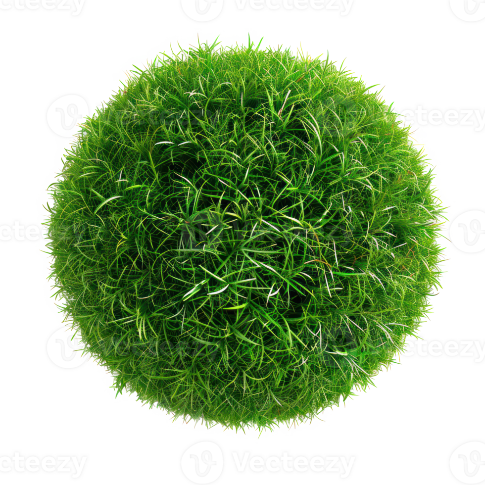 Floated Round Grass Ball Isolate On Transparency Background 51321365 Png