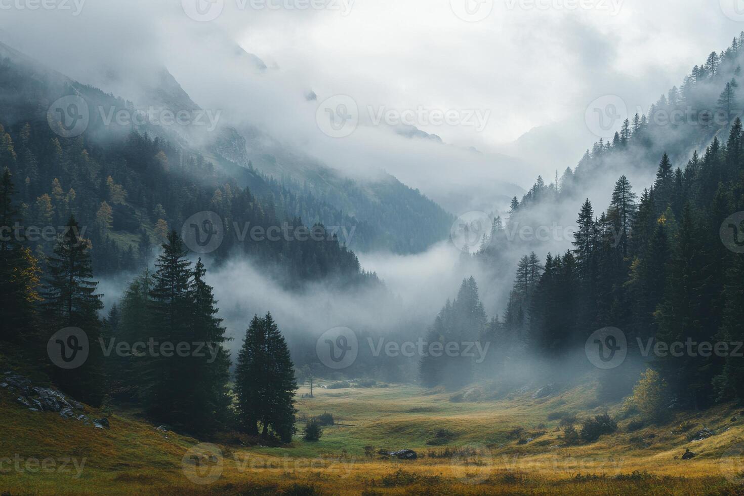 Misty valley landscape at dawn with fog enveloping dense forests and mountains 51595122 Stock ...
