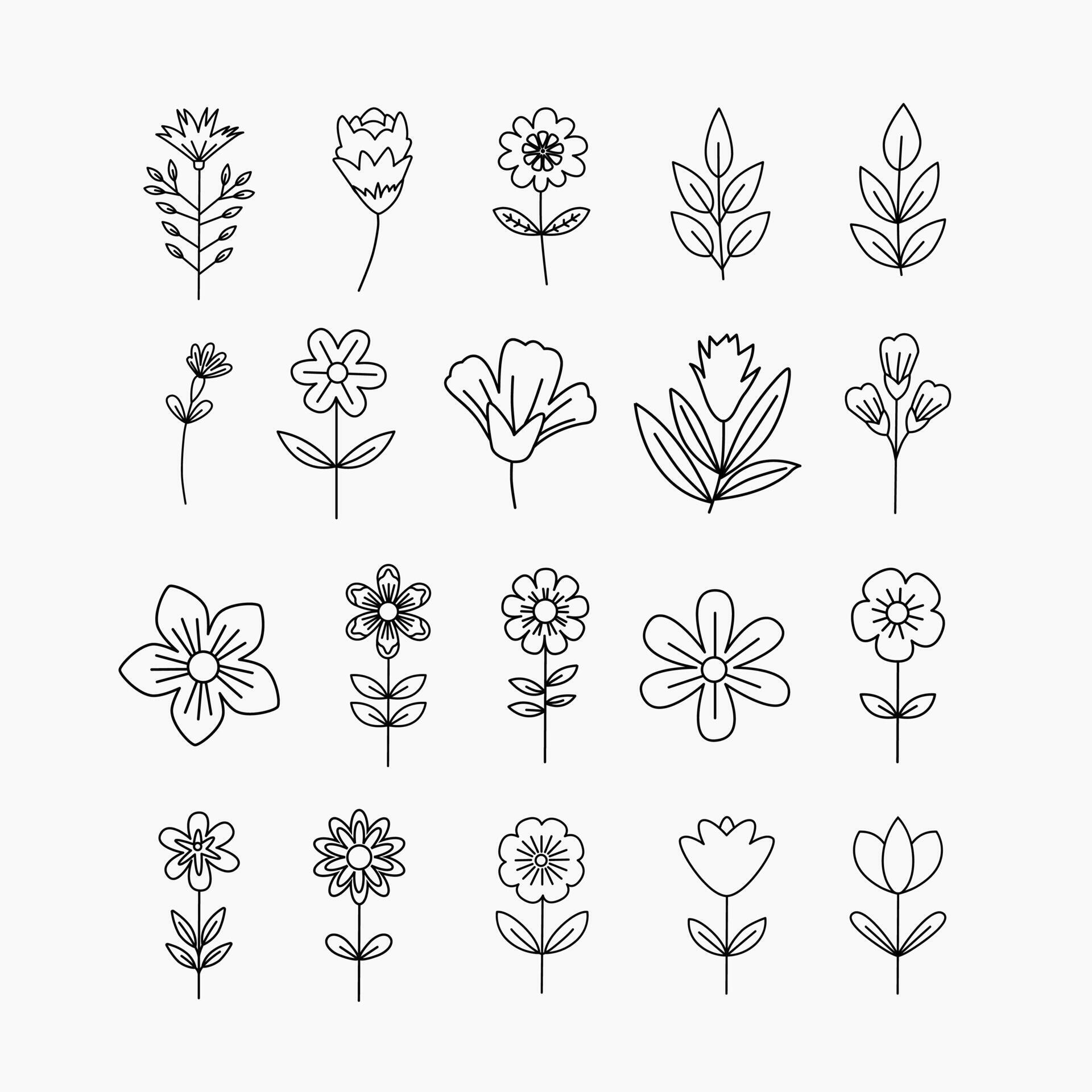 Simple flower line icon set. Tulip cherry blossom jasmine rose zinnia ...