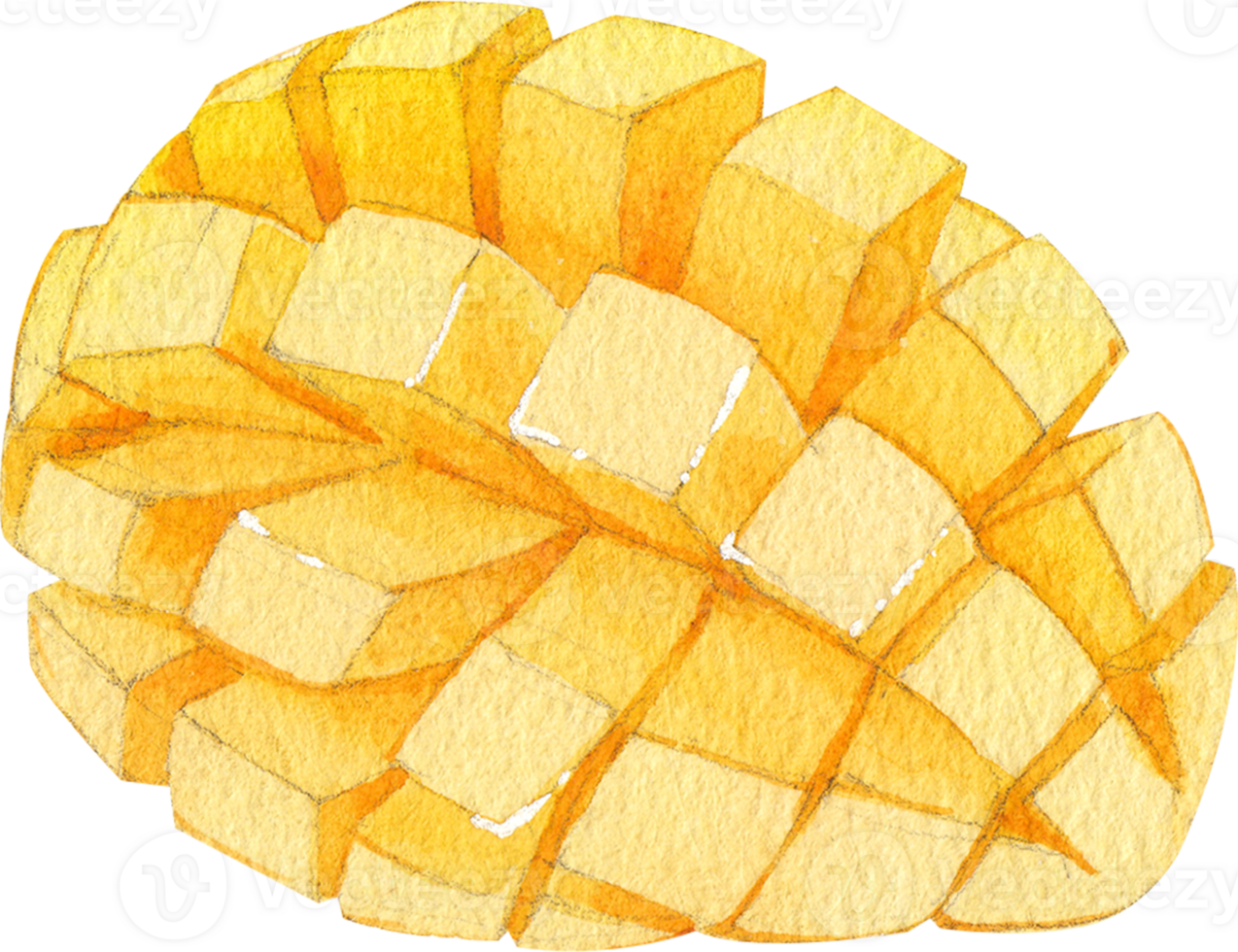 Mango Slice Hand Drawn Watercolor Illustration 51871966 Png