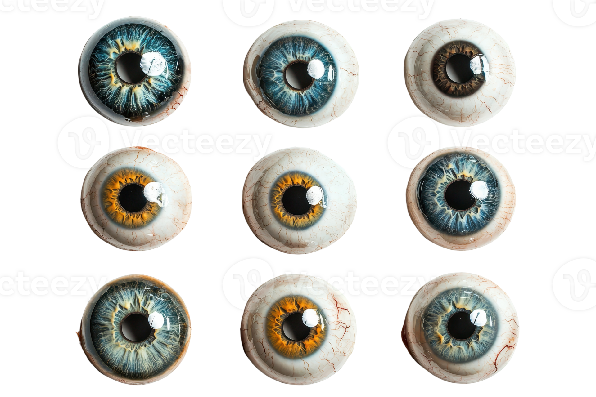Collection of artificial human eyeballs in various colors arranged in a ...