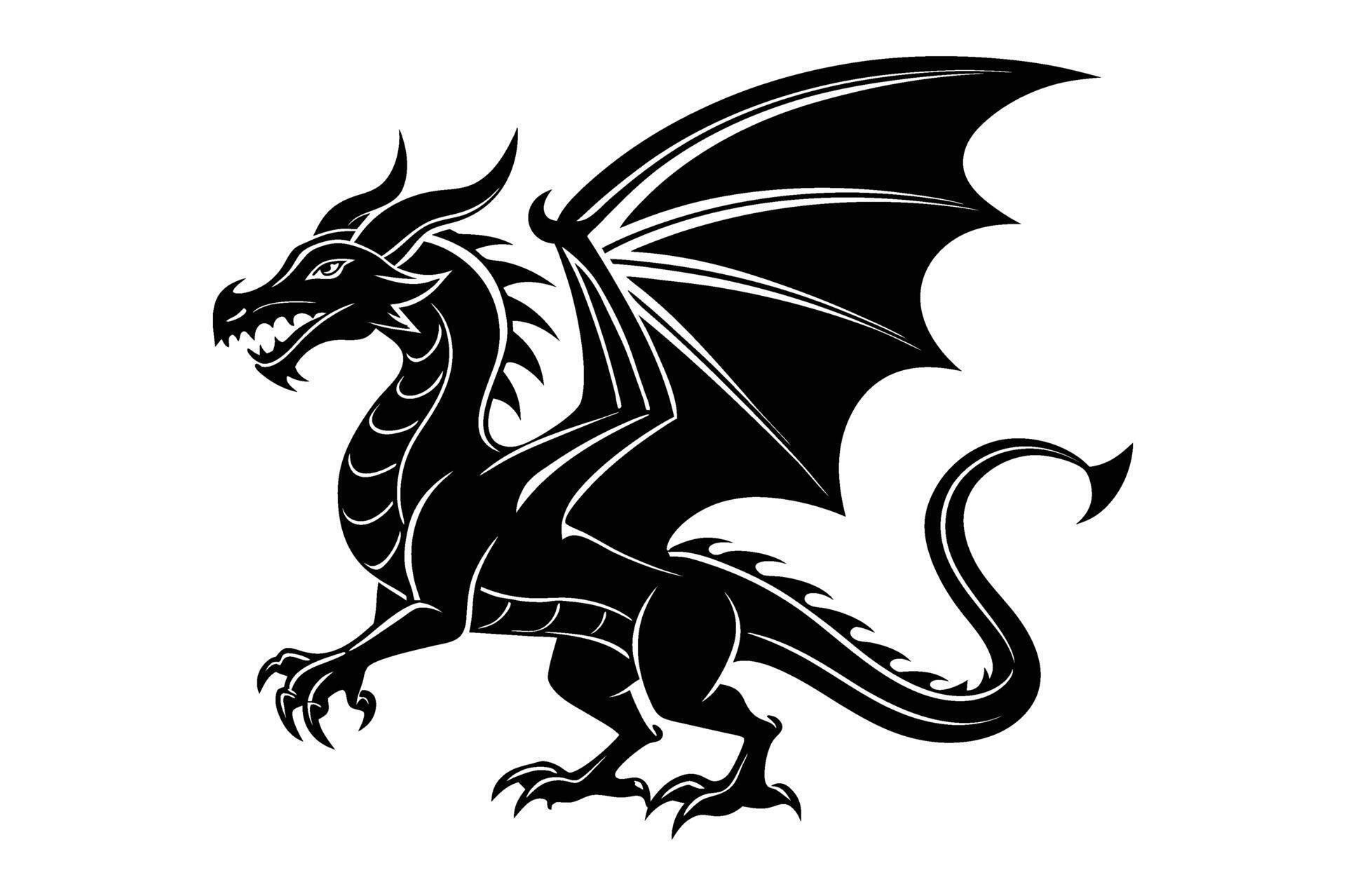 dragon tattoo design with white background 51987153 Vector Art at Vecteezy