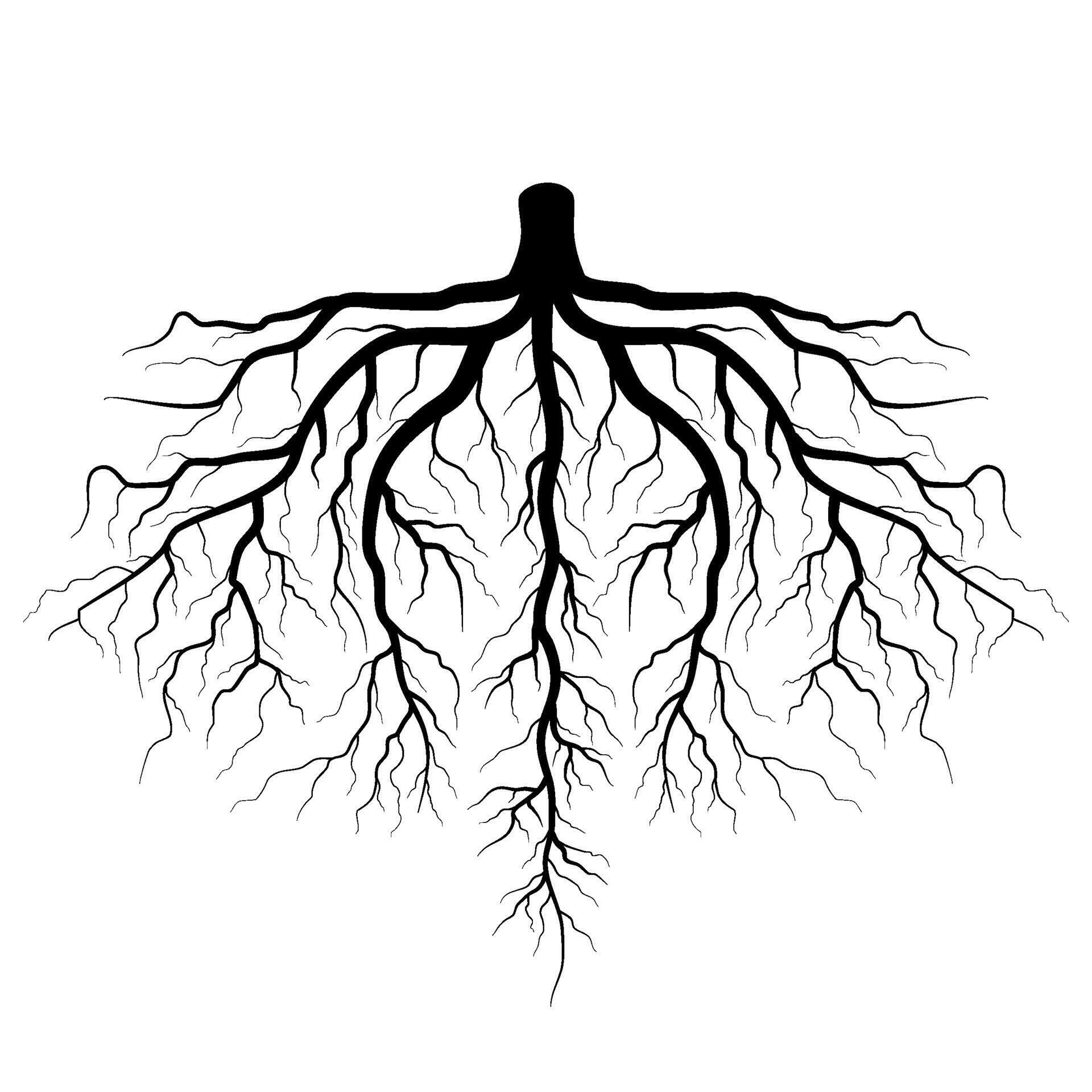 symmetric black tree root element 52025798 Vector Art at Vecteezy