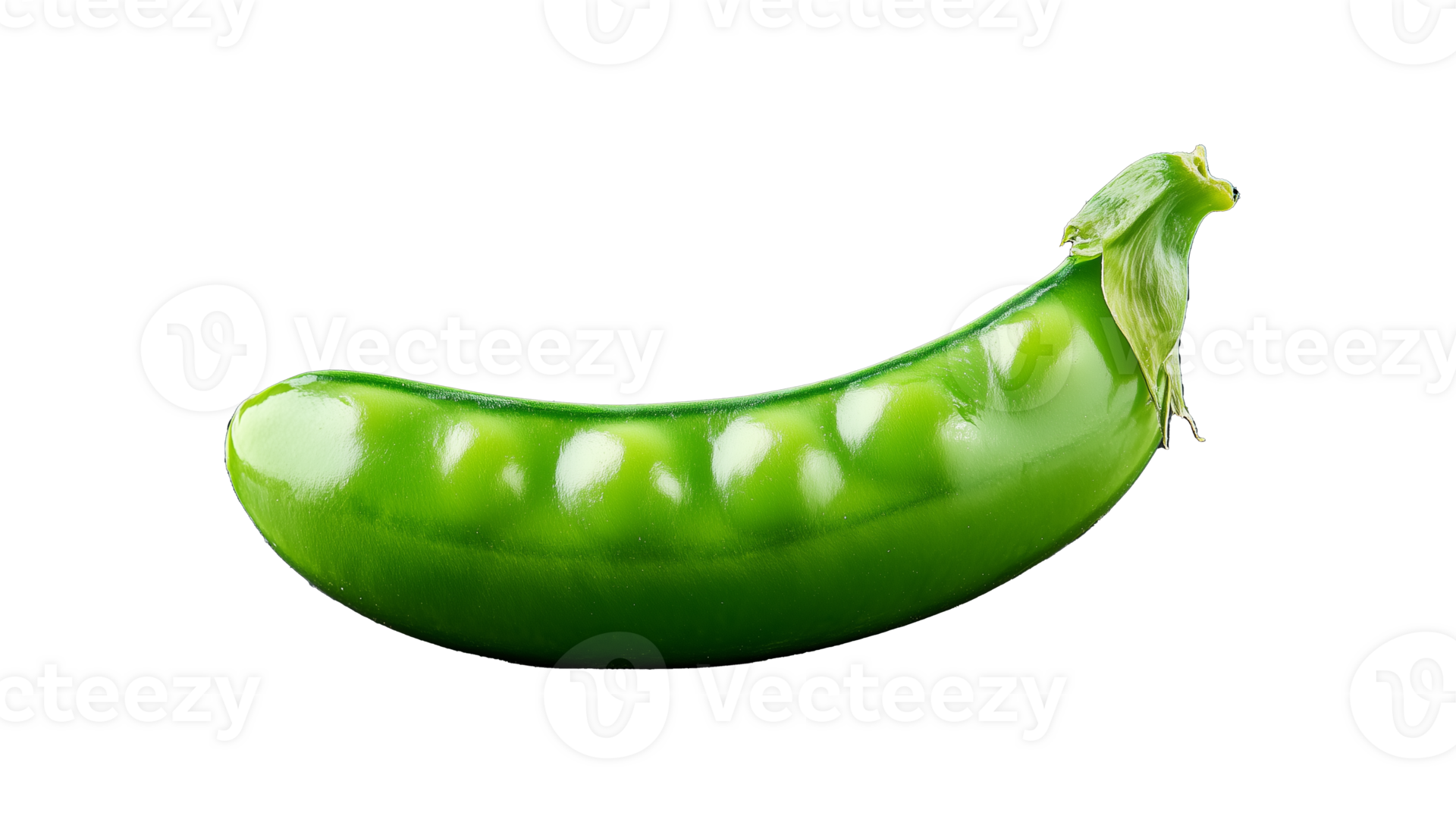 Fresh green pea pod isolated on transparent background 52240290 PNG