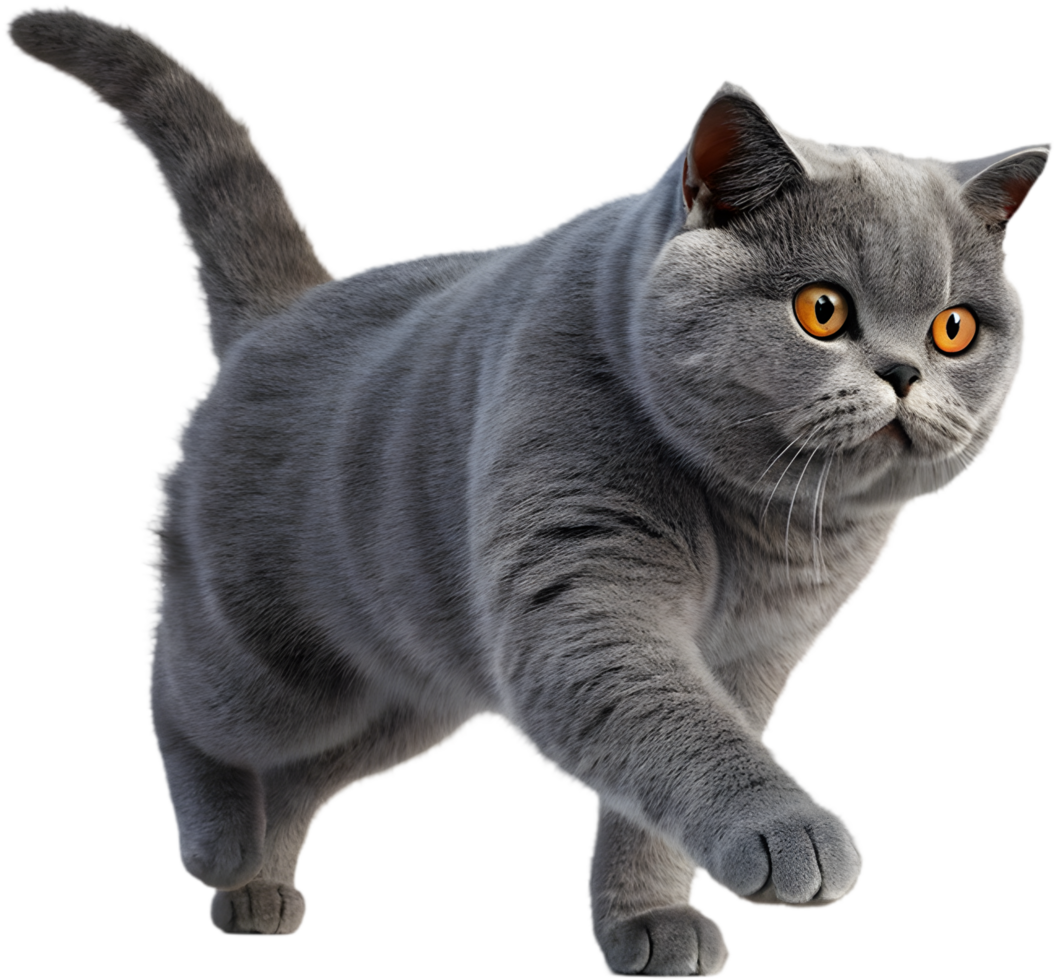 Captivating Running Cat Illusion Clipart for Stunning Animations ... Captivating Running Cat Illusion Clipart for Stunning Animations ...