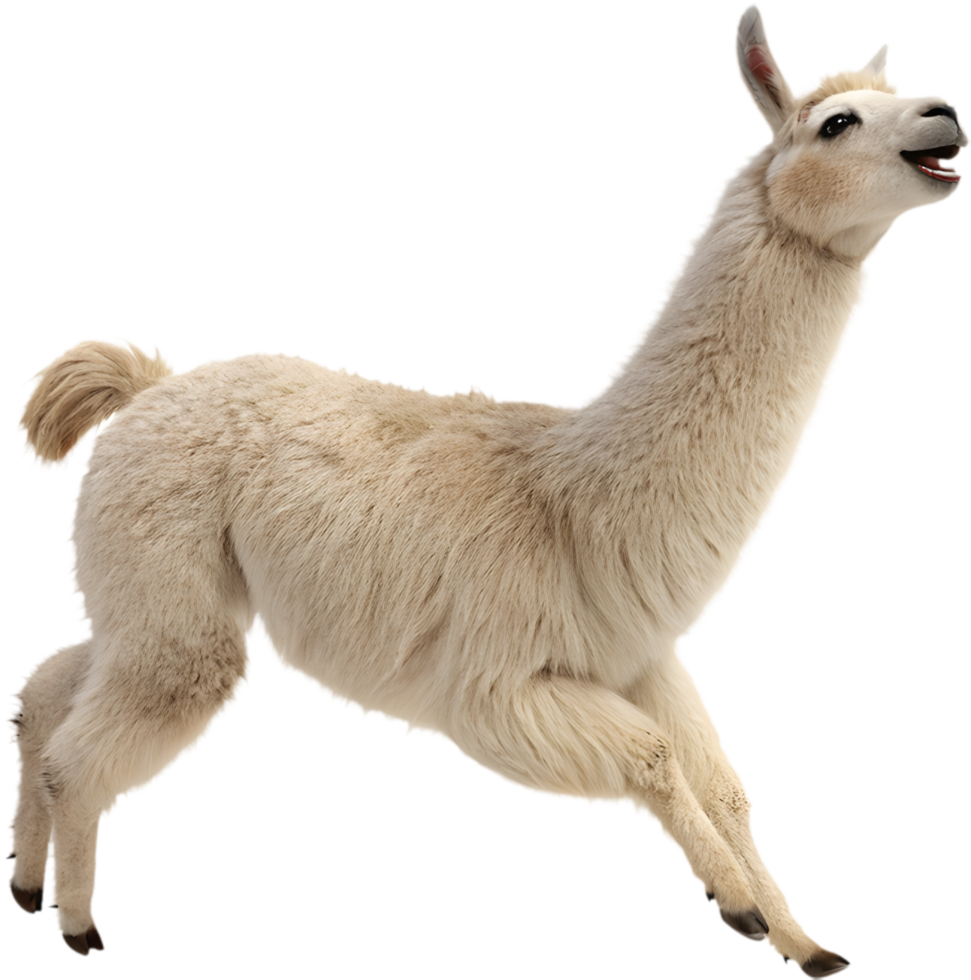 Cartoon Kawaii Llama Running Clipart for Bright Digital Designs ... Cartoon Kawaii Llama Running Clipart for Bright Digital Designs ...