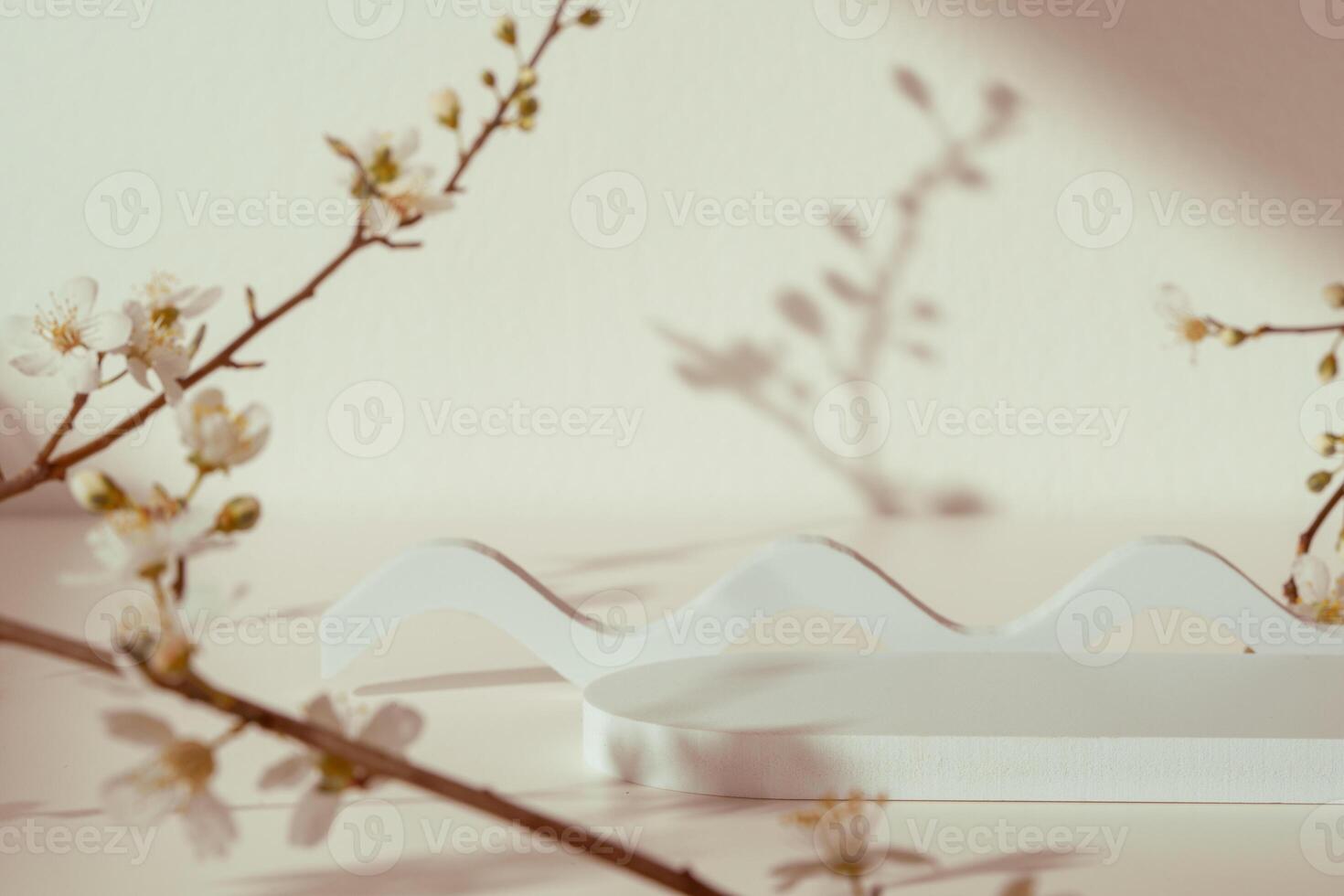 Blooming spring branches with flowers and its shadow on beige ...