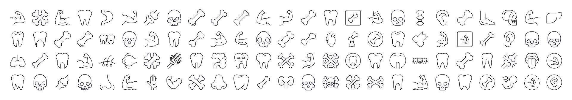 Internal Organs Teeth And Bones Simple Isolated Line Icons Collection