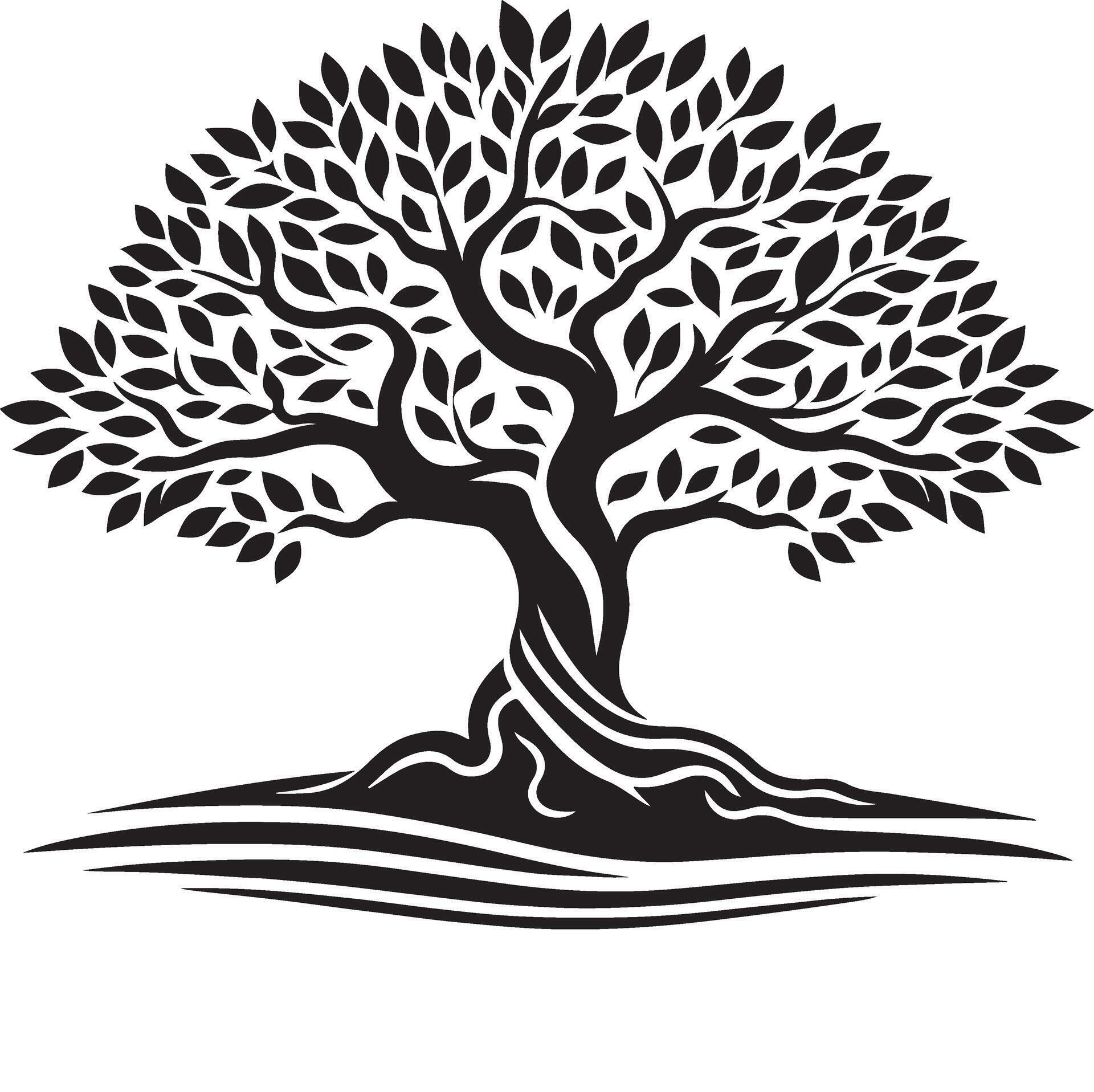 Diverse Banyan Tree Silhouette Graphics Collection 52263295 Vector Art ...