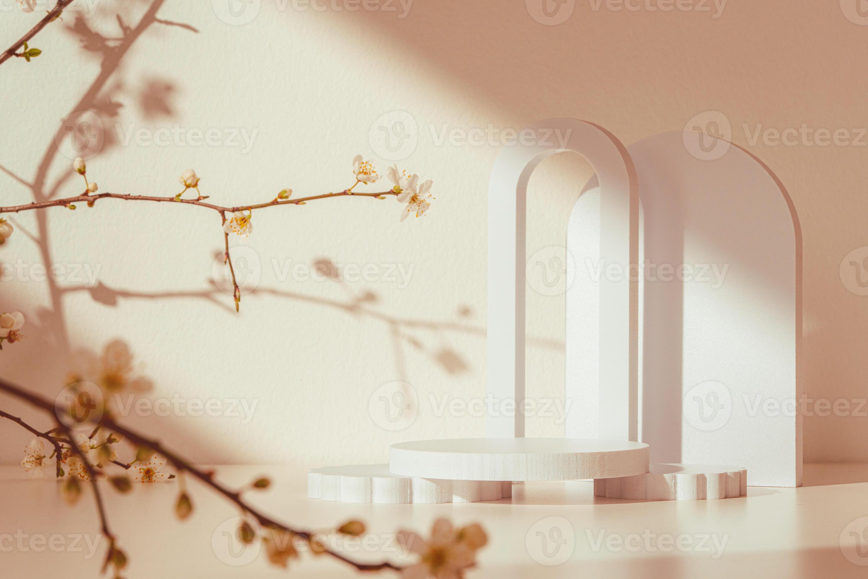 Blooming spring branches with flowers and its shadow on beige ...