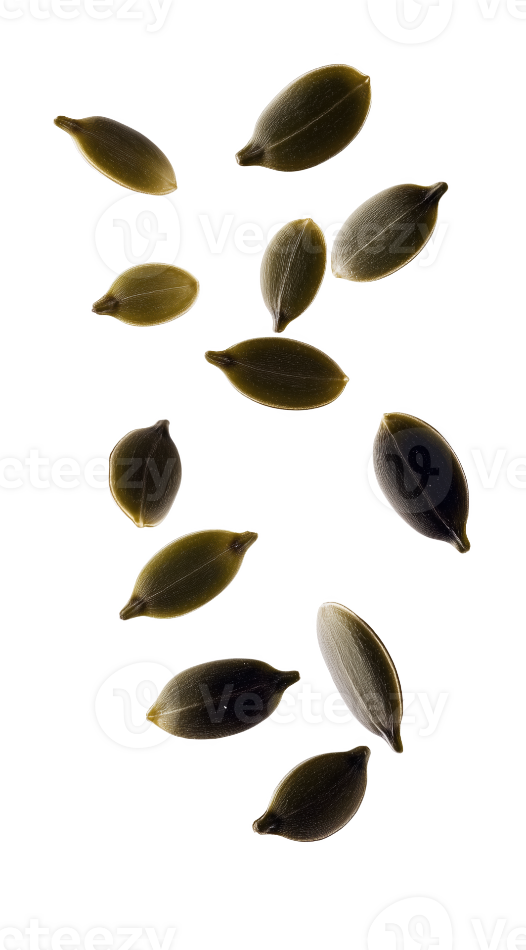Seeds fluttering through the air, capturing the essence of nature's sharp delicacy 52291952 PNG