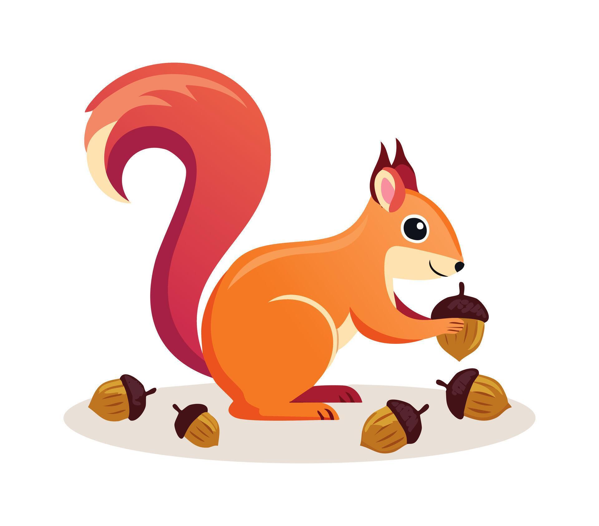 Squirrel Gathering Acorns 52292926 Vector Art at Vecteezy