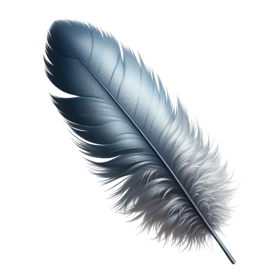 3d Feather Of A Bird Isolated On Transparent Background 52308009 PNG