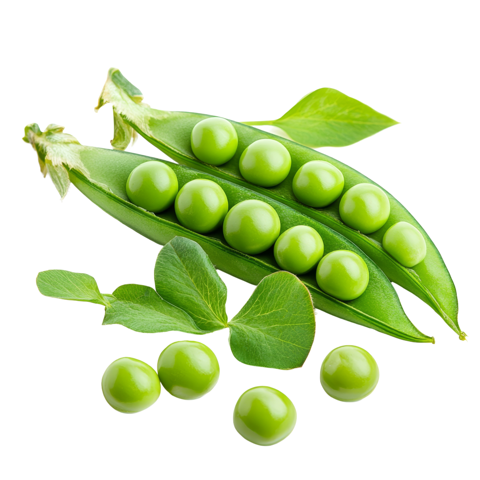 Fresh green peas in their pods and loose on a transparent background ...