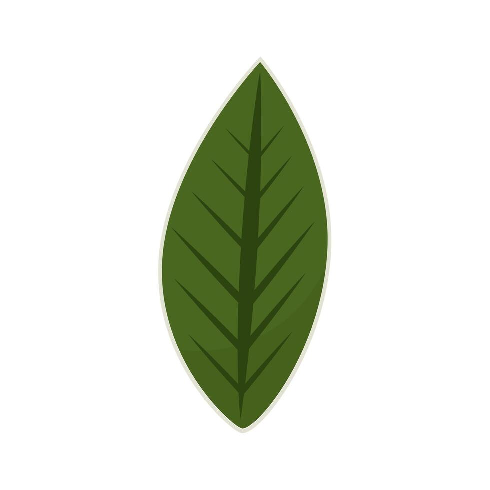 Cartoon green leaf. illustration. 52610684 Vector Art at Vecteezy