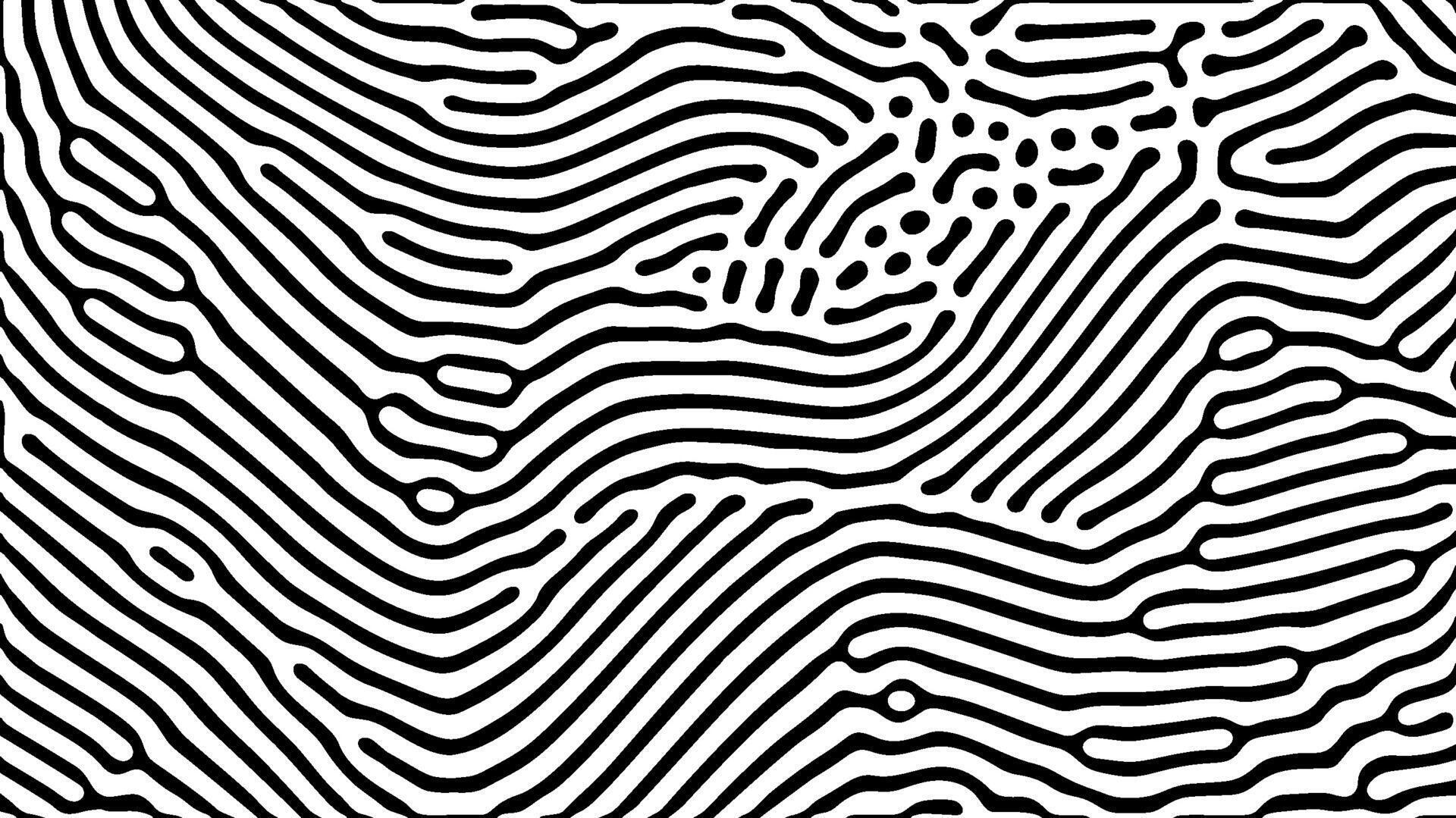 Abstract art with black flowing lines and irregular pattern 52614222 Vector Art at Vecteezy