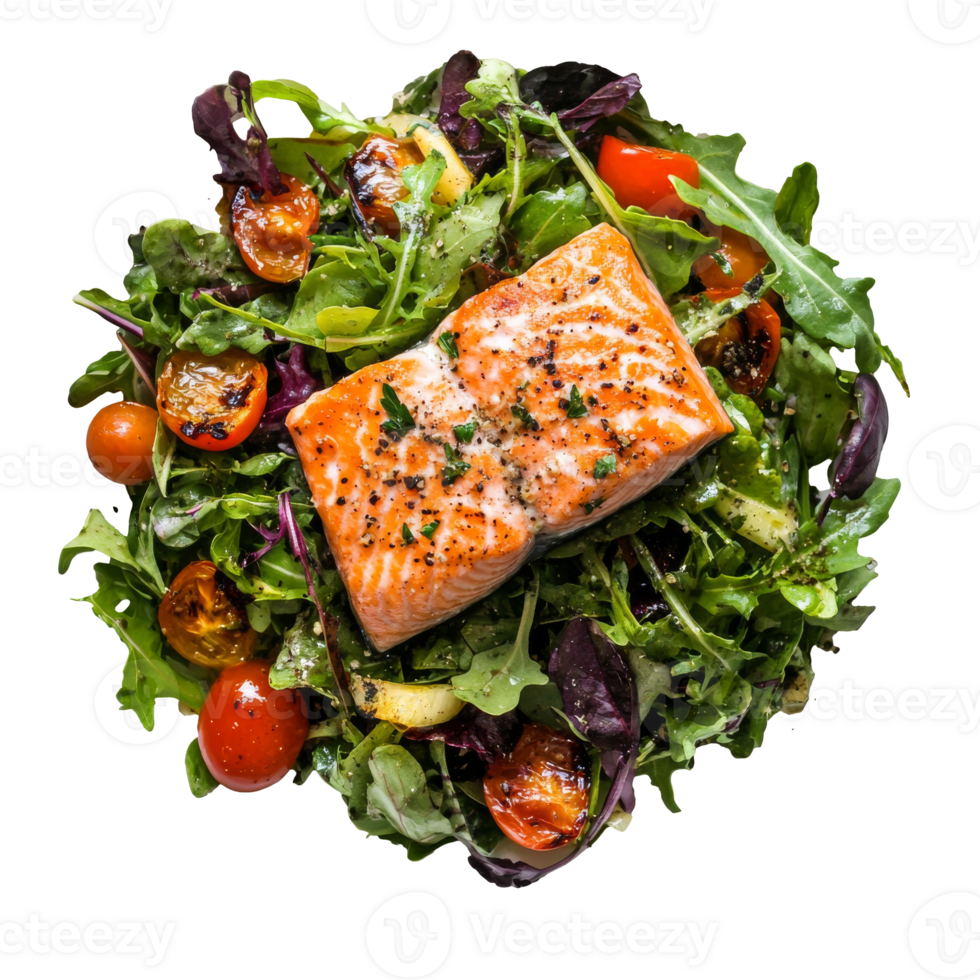 Grilled salmon on mixed greens salad transparent 52646617 PNG Grilled salmon on mixed greens salad transparent 52646617 PNG