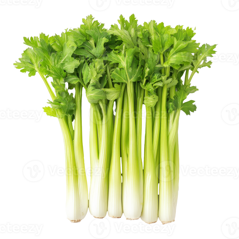 Neatly arranged green celery on white 52647868 PNG