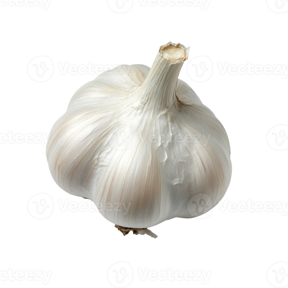 Garlic Bulb On White Background 52651037 Png