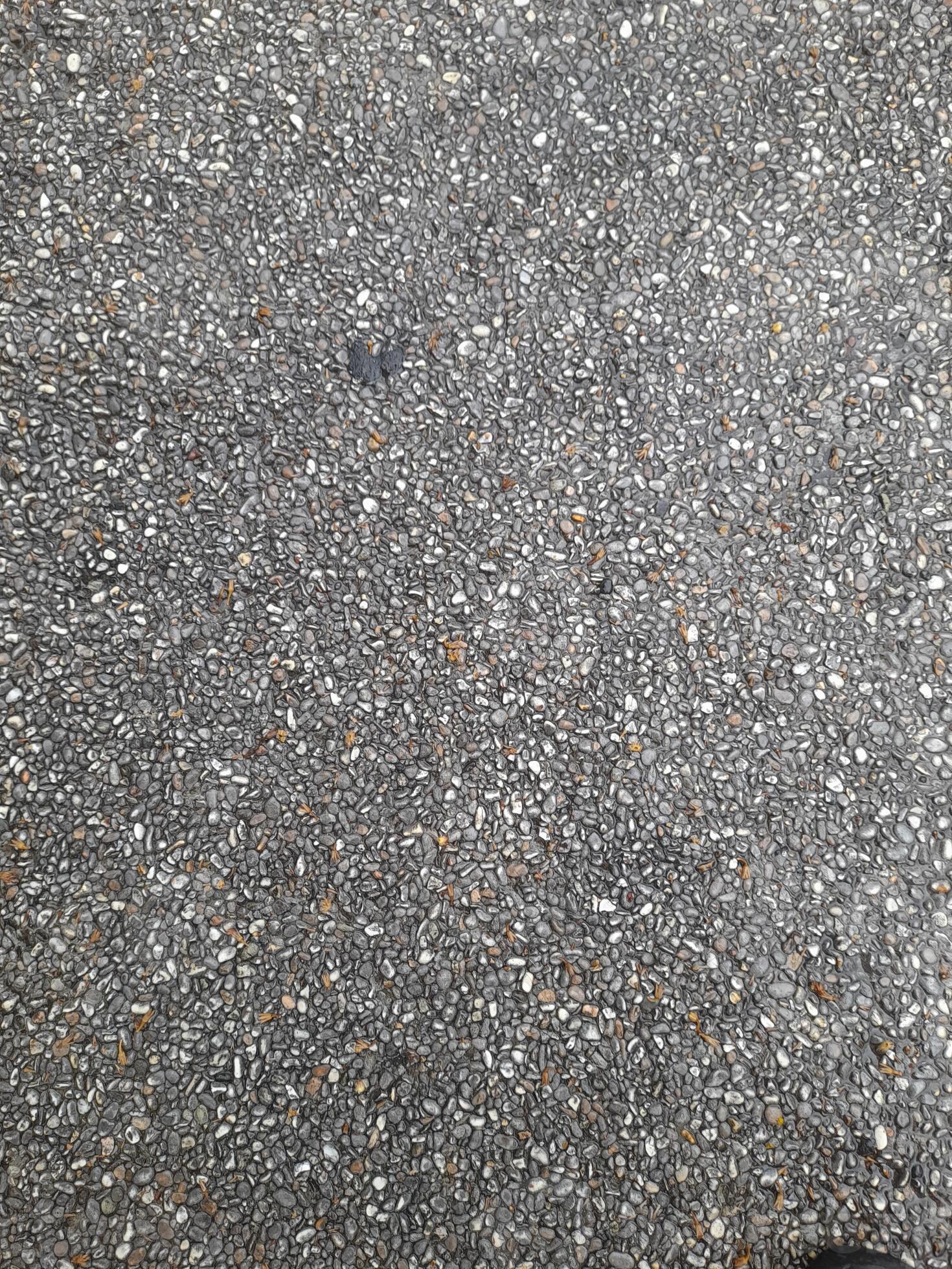 A close-up view of an exposed aggregate concrete surface, consisting of ...