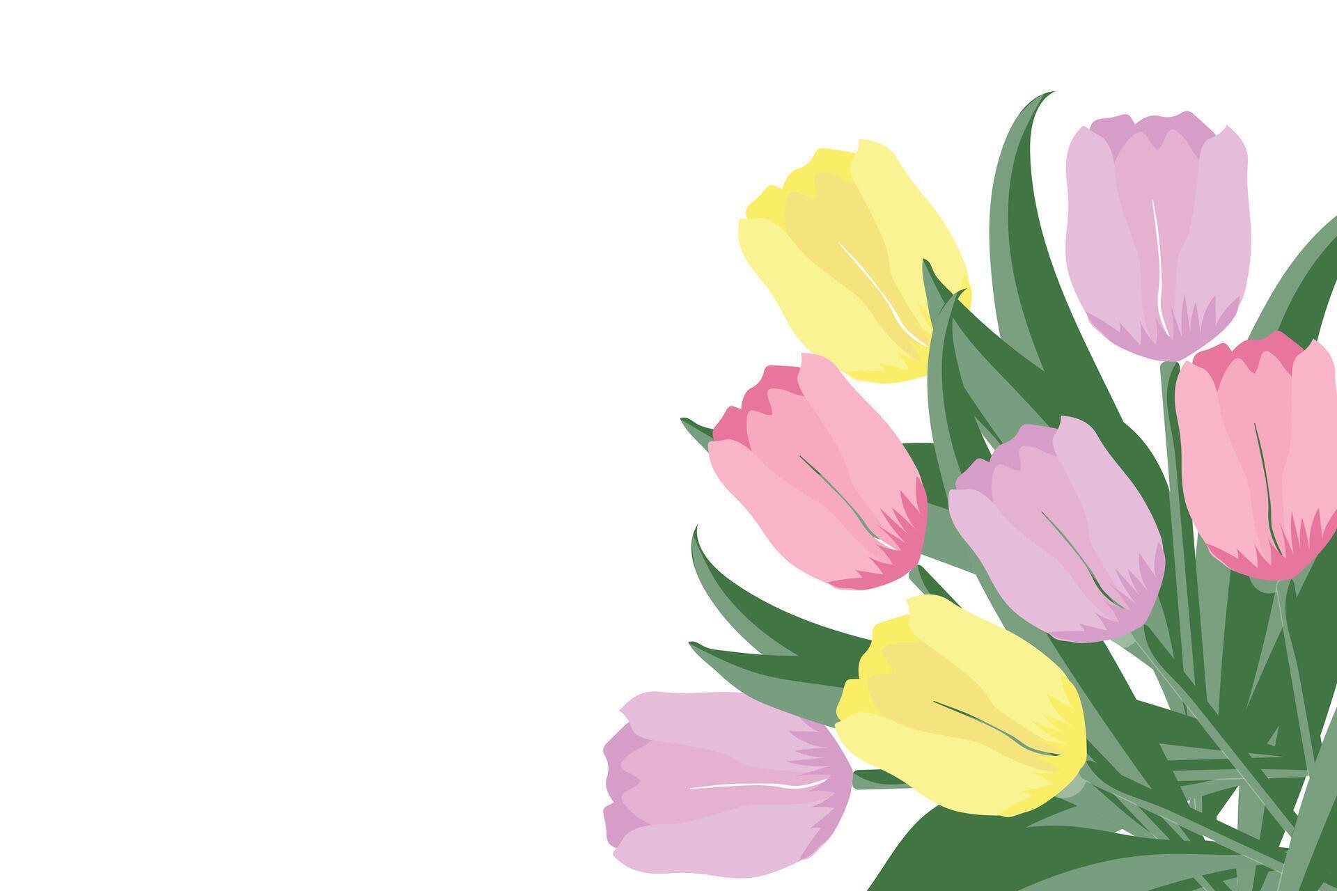 Buquet tulips. Elegant tulip bouquet with pastel colors and green leaves in a minimalist ...