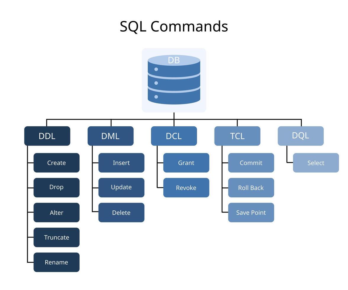 sql comandos tal como ddl, dml, corriente continua, dql, y tcl son ...