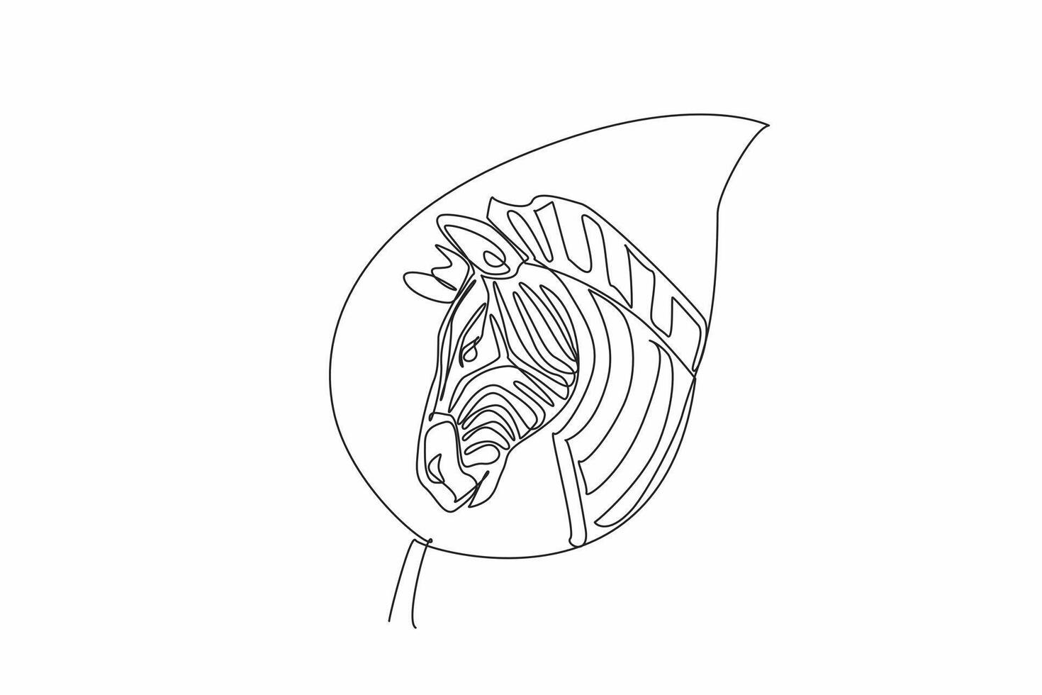 Zebra Line Drawing Vector Art Icons And Graphics For Free Download