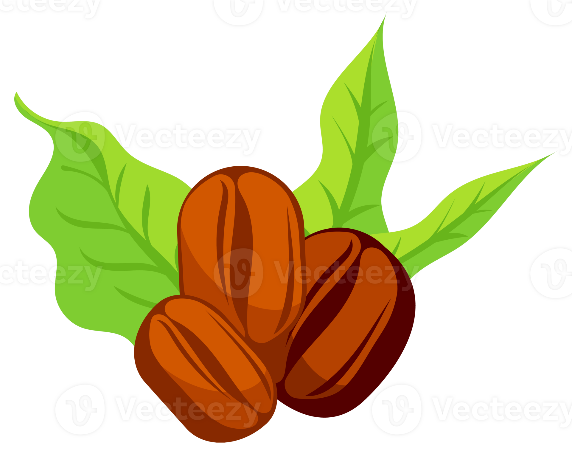 Coffee beans set. Showing various stages of roasting. Various angle for ... Coffee beans set. Showing various stages of roasting. Various angle for ...