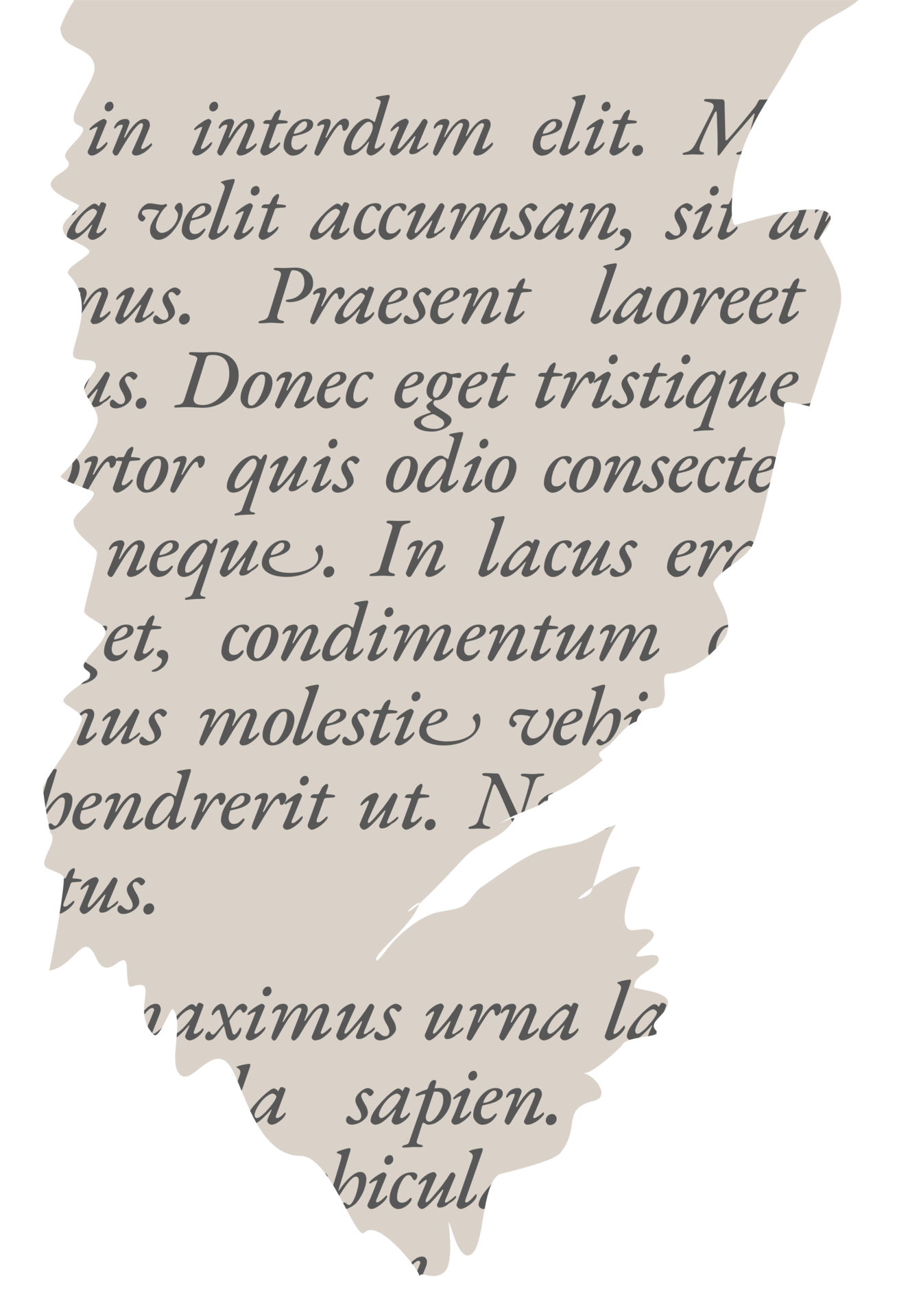 Torn Paper Fragment with Text Layout 53292759 PNG Torn Paper Fragment with Text Layout 53292759 PNG