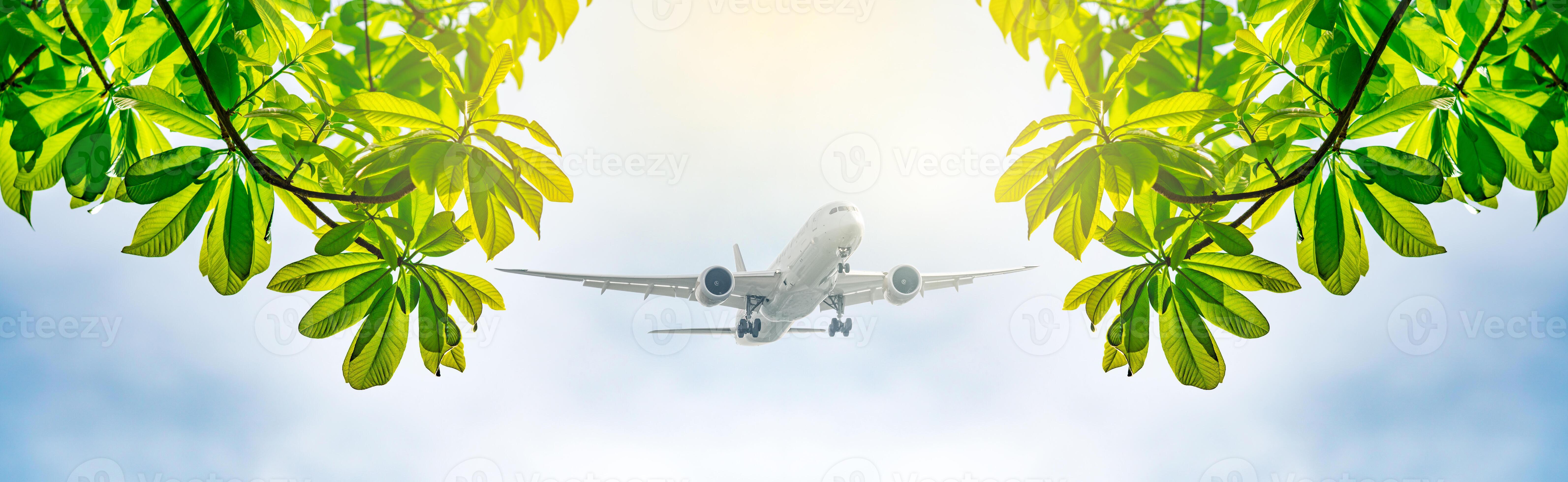Airplane flying on blue sky. Sustainable aviation. Green airliner. Eco ...