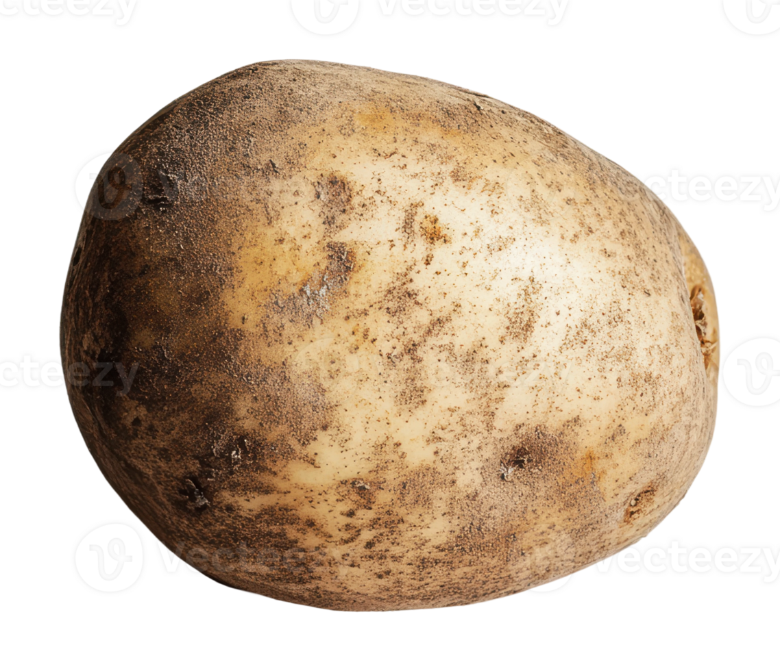 Earthy-textured, vibrant natural potato 53343585 PNG Earthy-textured, vibrant natural potato 53343585 PNG