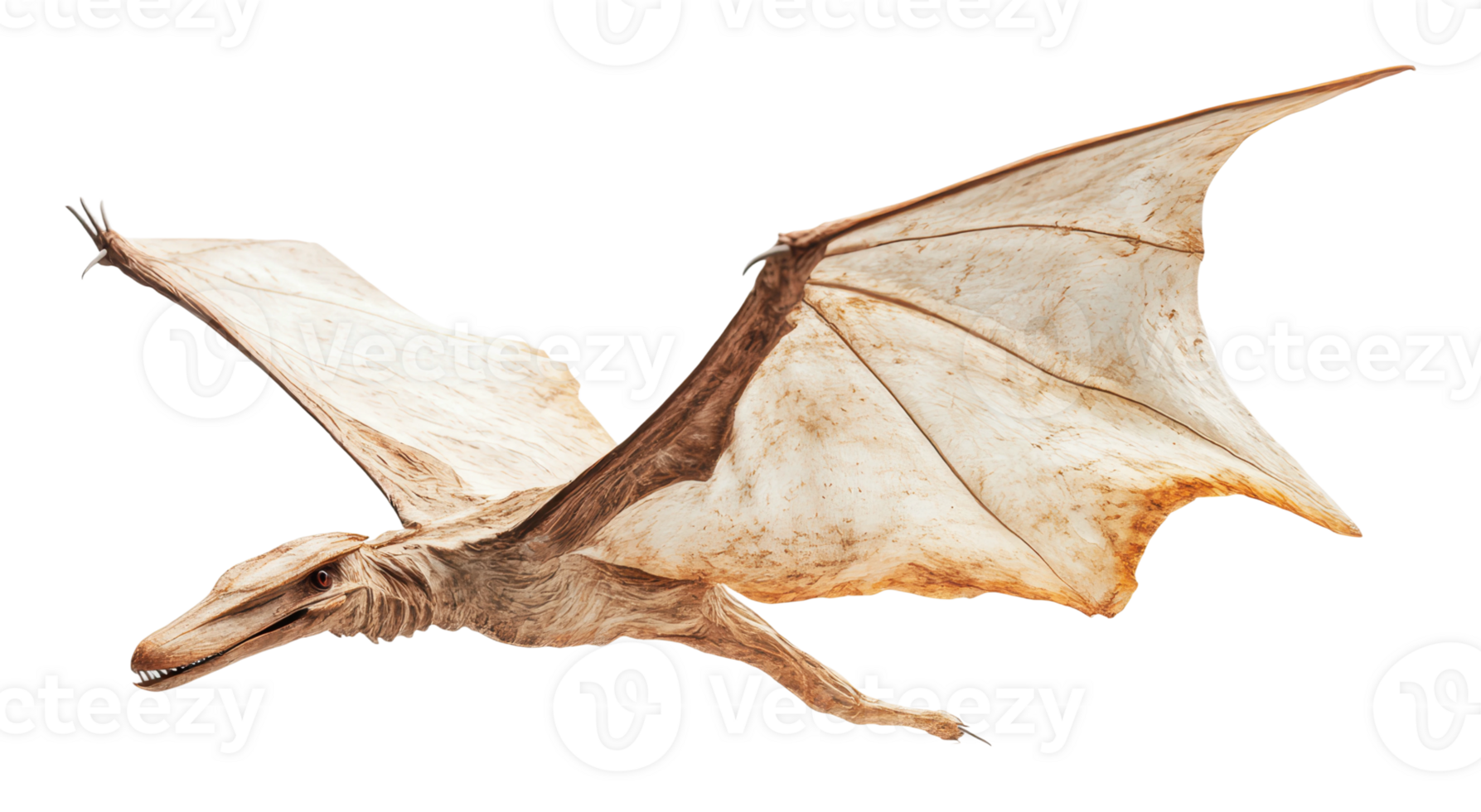 Large-winged creature glides through air 53344067 PNG Large-winged creature glides through air 53344067 PNG