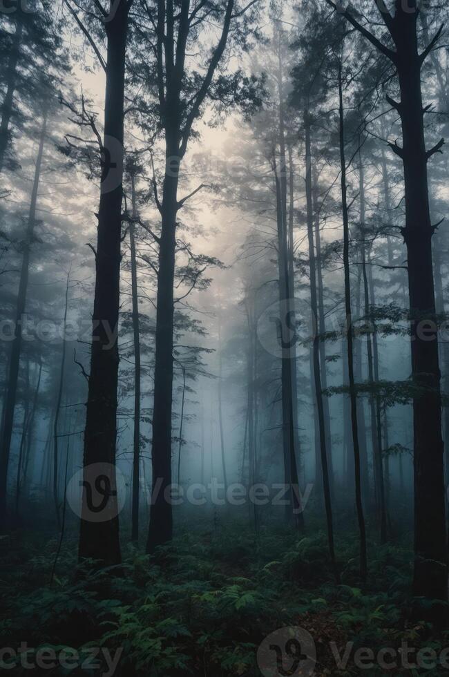A misty forest scene with tall trees shrouded in fog, creating a mysterious atmosphere. 53380264 ...