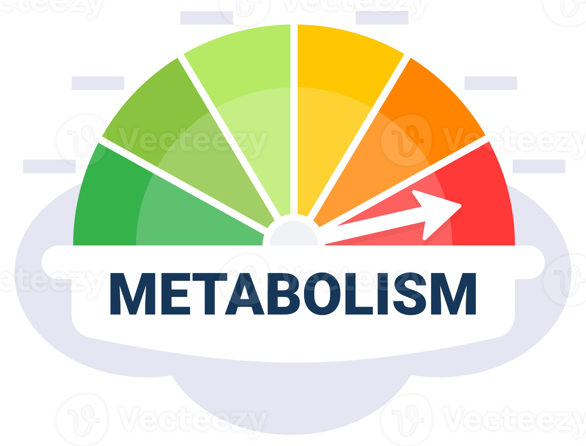 Metabolic Rate Evaluation Scale Illustration With Color Coded