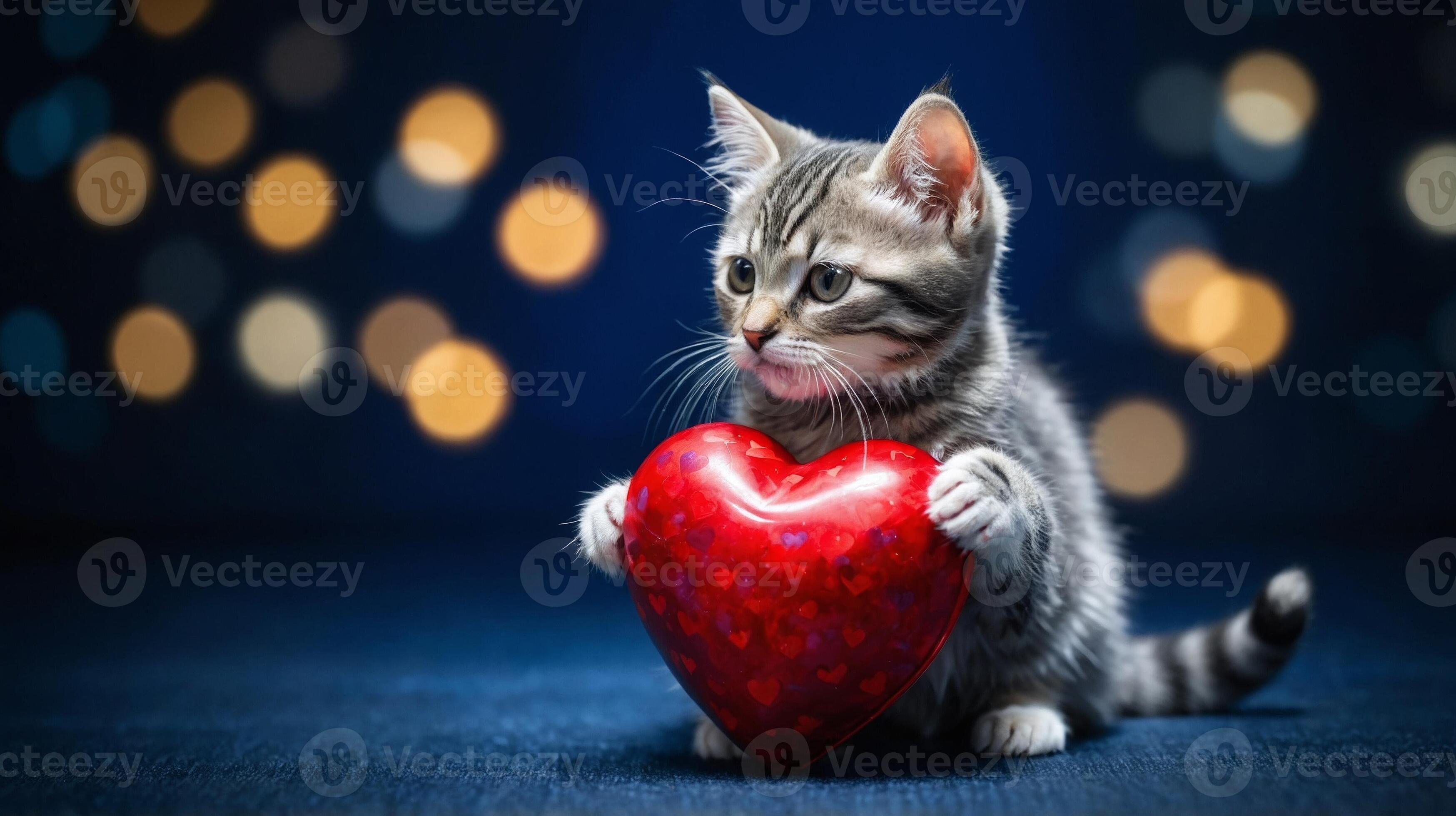 Adorable tabby kitten holding a red heart on a glittery surface with a bokeh background ...