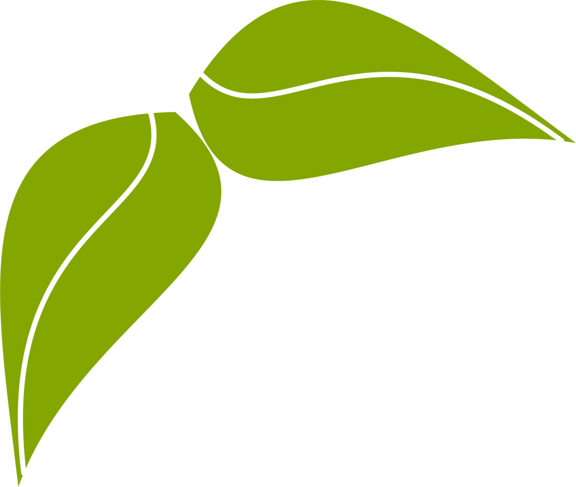 Green tea leaf icon minimal art 53489013 PNG Green tea leaf icon minimal art 53489013 PNG