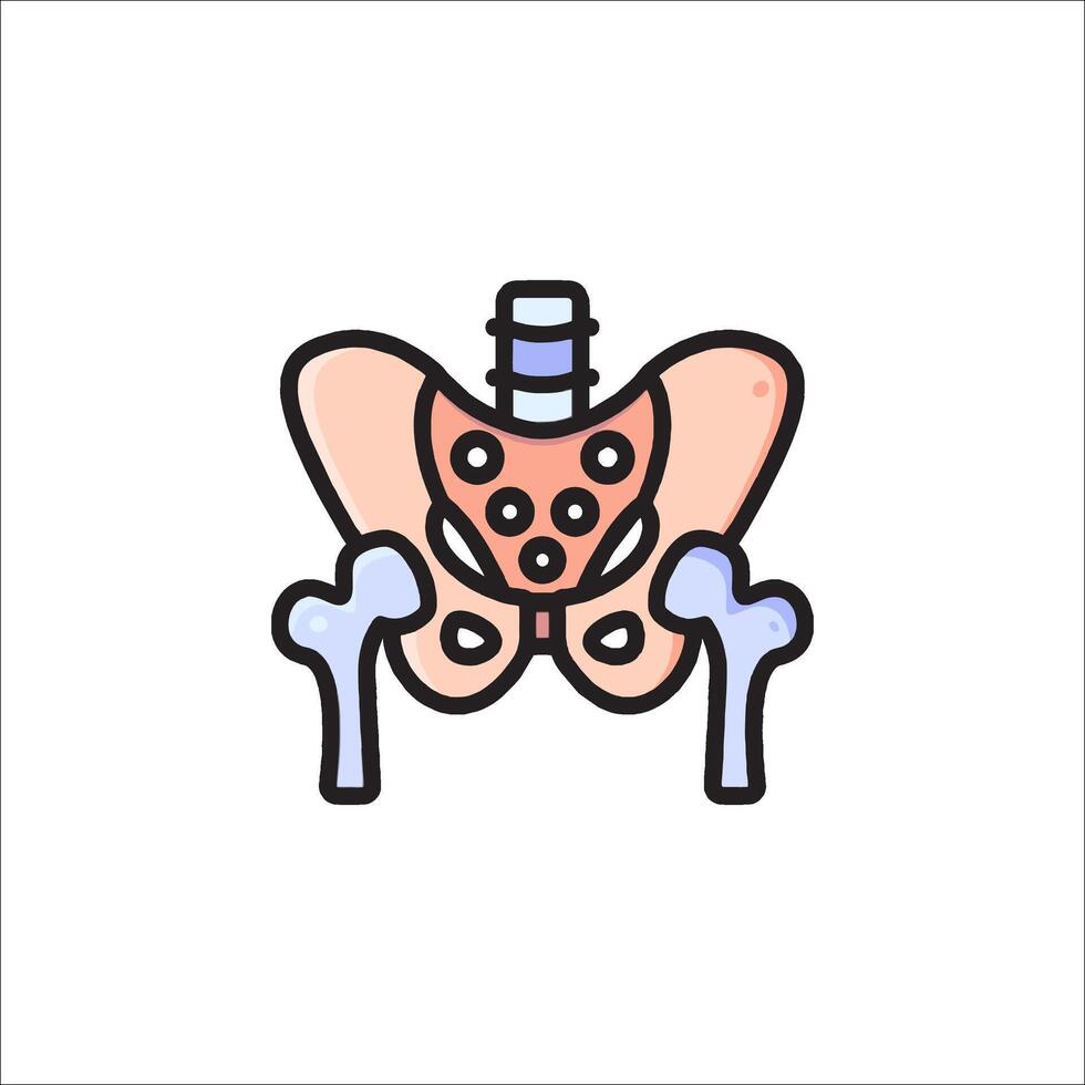 The Human Hip Bone Icon With The Bones In The Middle 53804778 Vector Art At Vecteezy