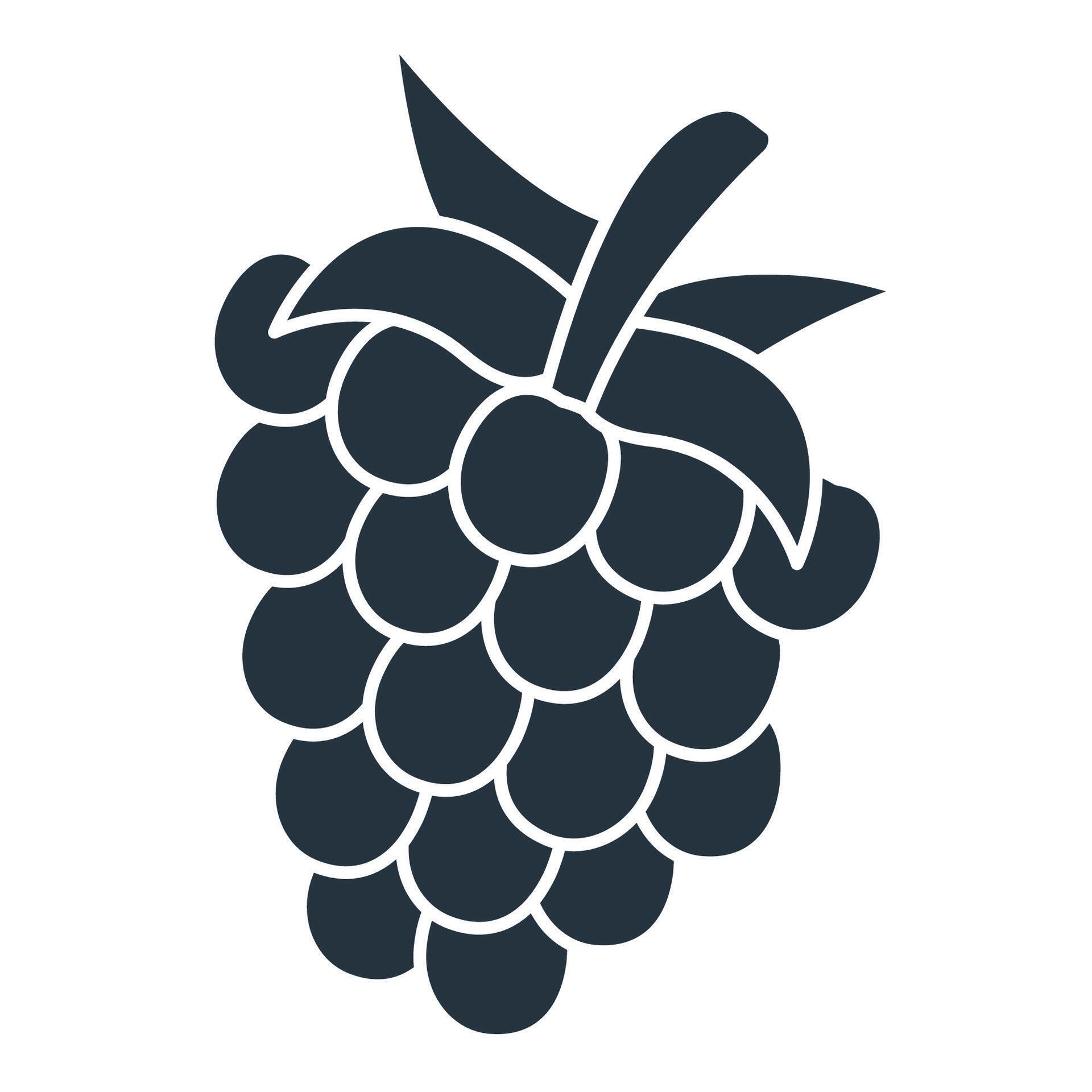 raspberry icons symbol elements for infographic web 53807912 Vector Art ...