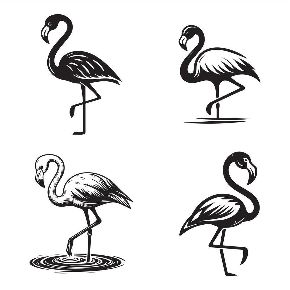 Flamingo Fields Forever 53861536 Vector Art at Vecteezy Flamingo Fields Forever 53861536 Vector Art at Vecteezy